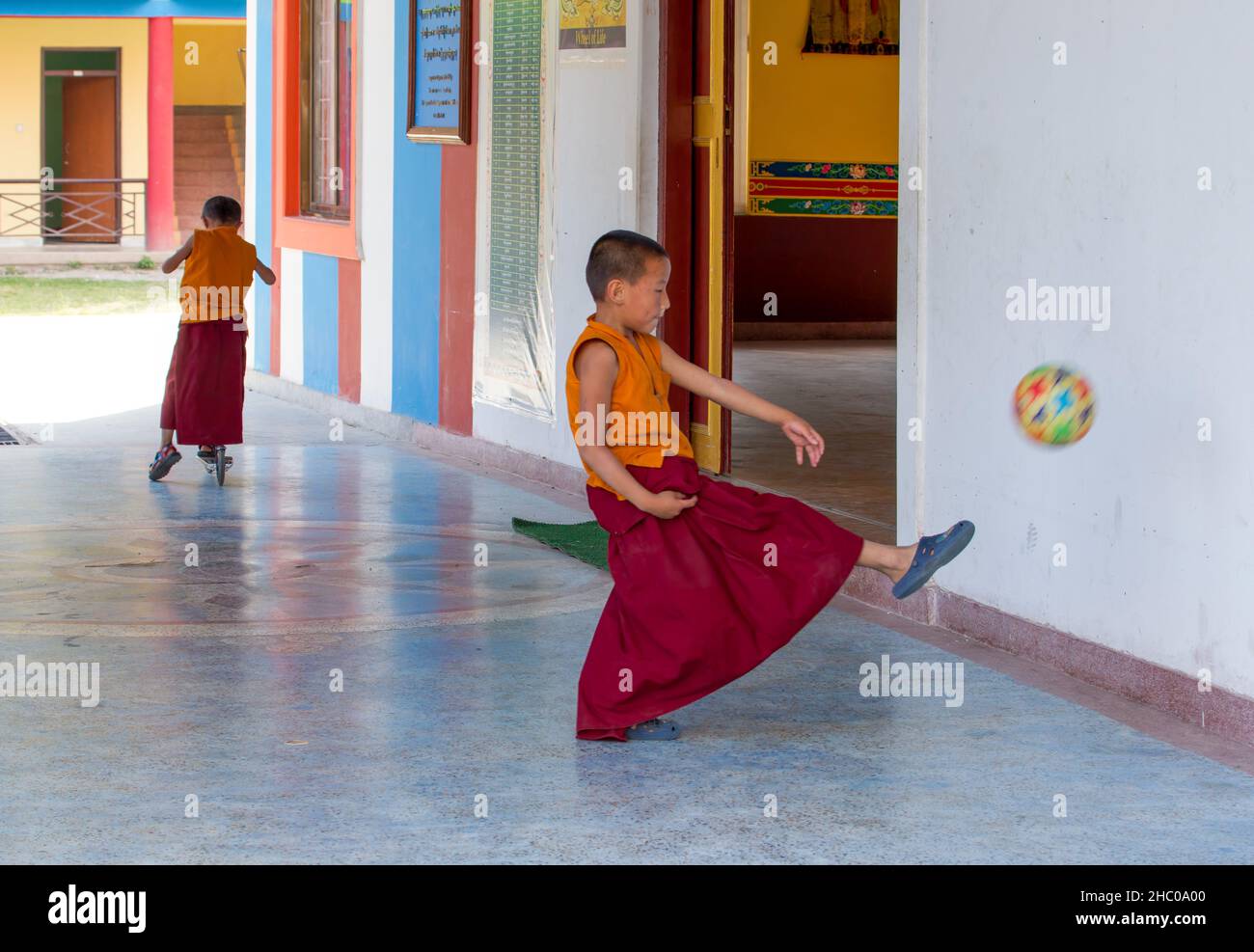 A young Buddhist monk kicks a soccer ball at the Pema Tsal Sakya ...