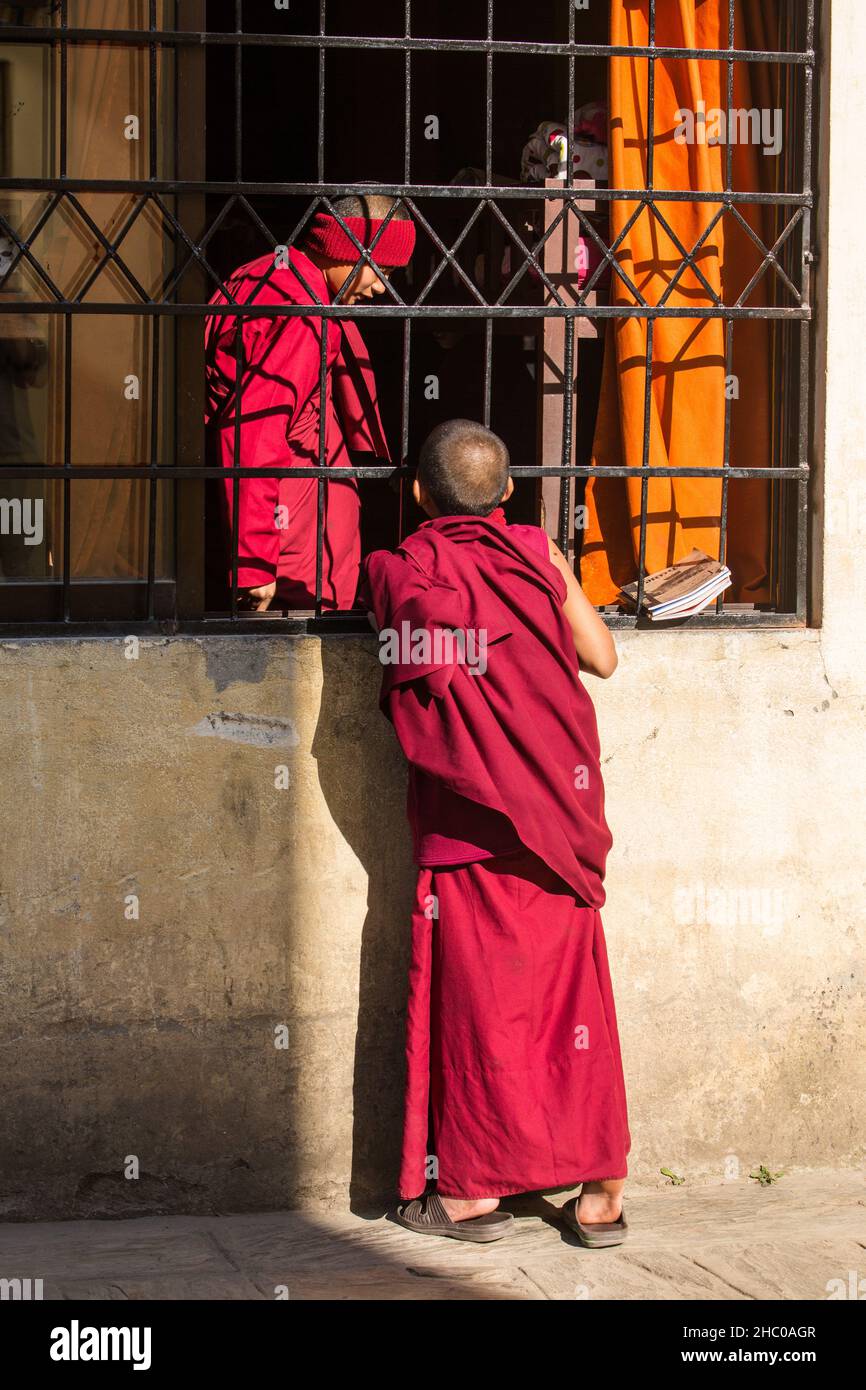 Young novice Buddhist monks visit through a dormitory window in the ...