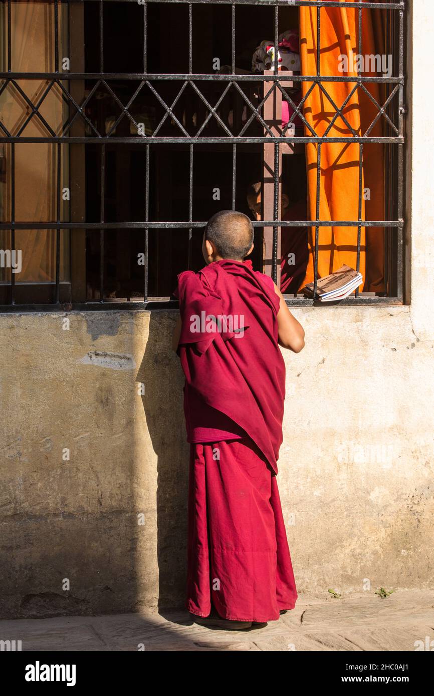 A young novice Buddhist monk looks through a window in the Sechen ...