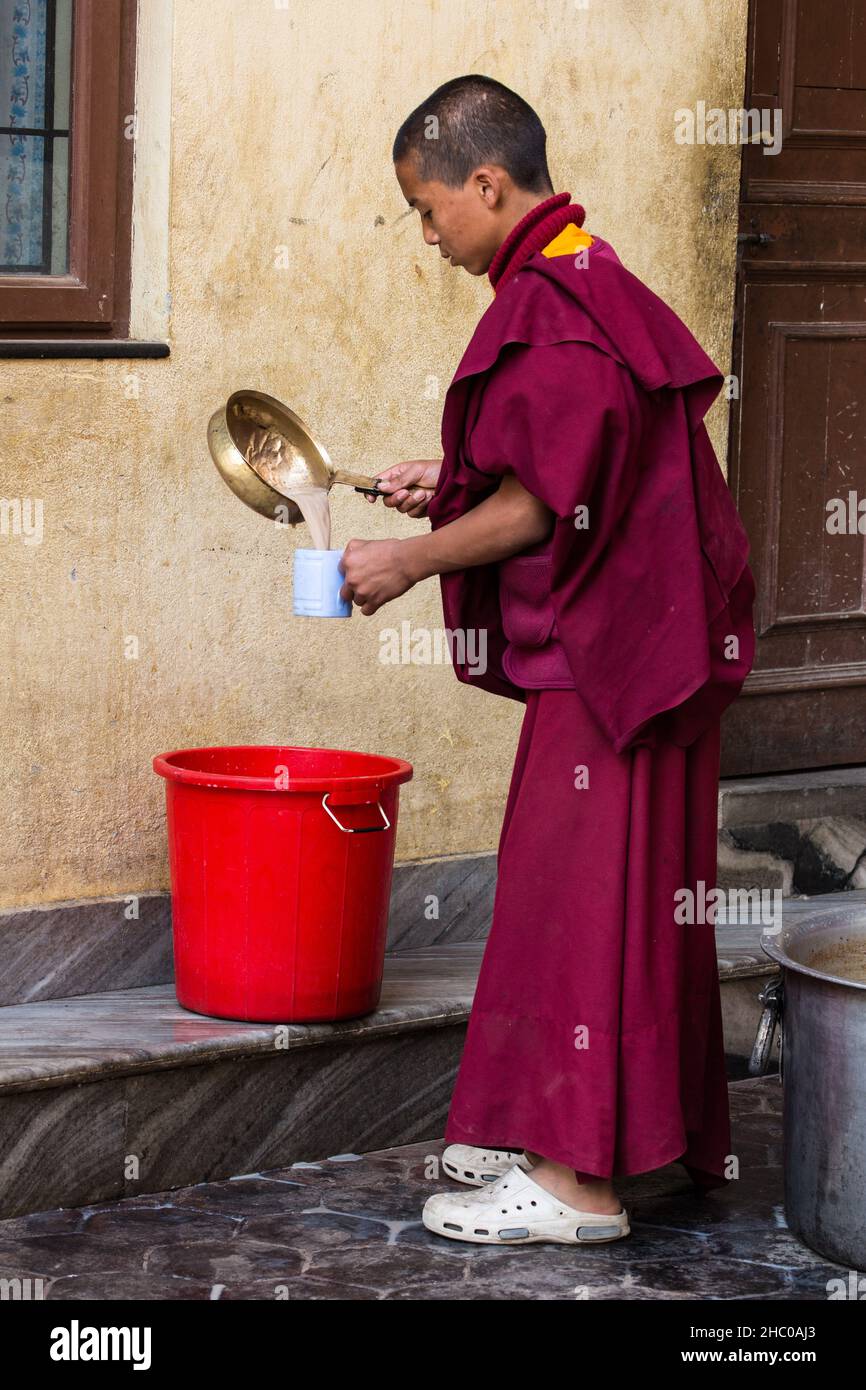 Novice and monk and nepal hi-res stock photography and images - Alamy