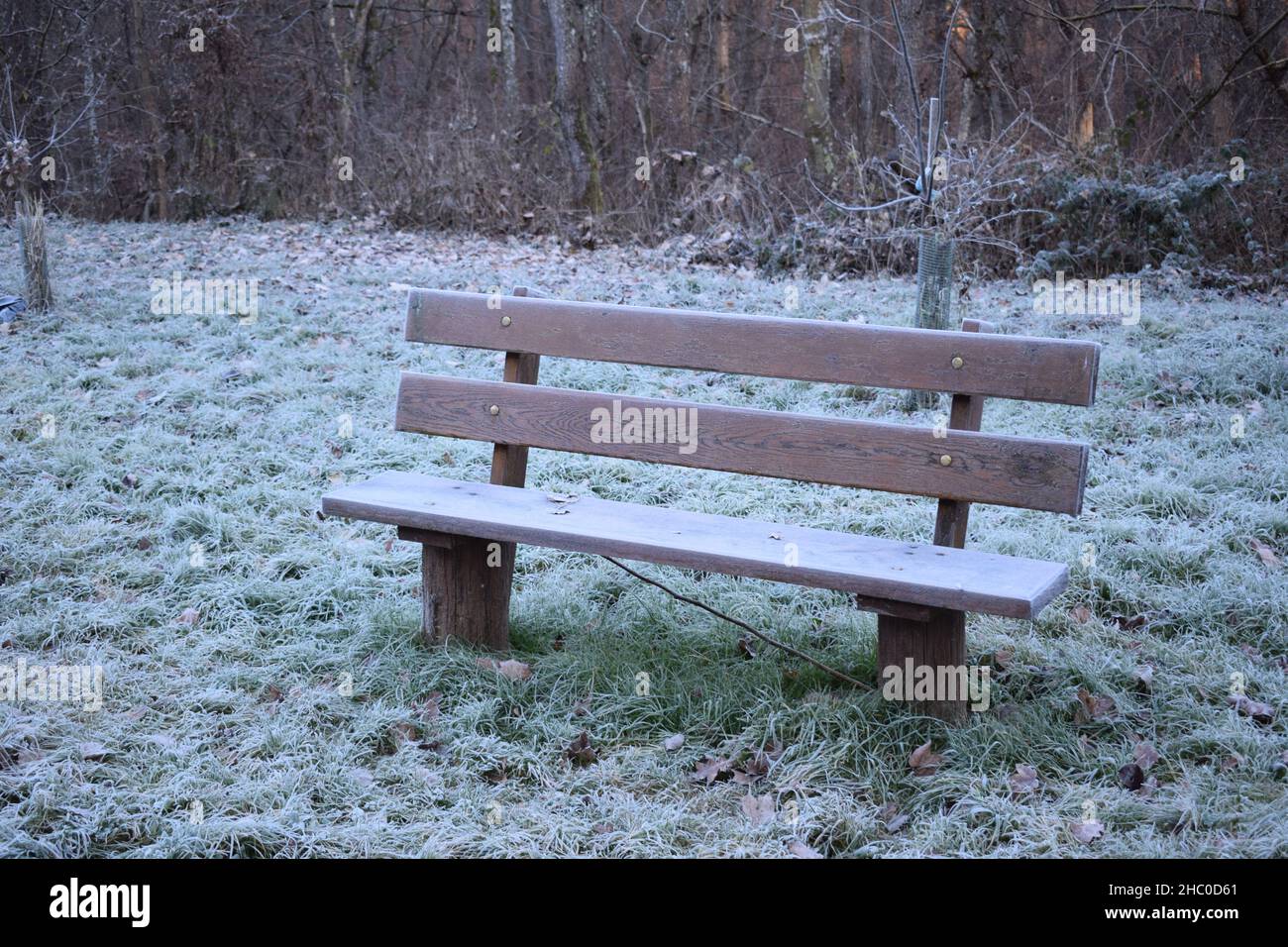 park bench with thin ice Stock Photo - Alamy