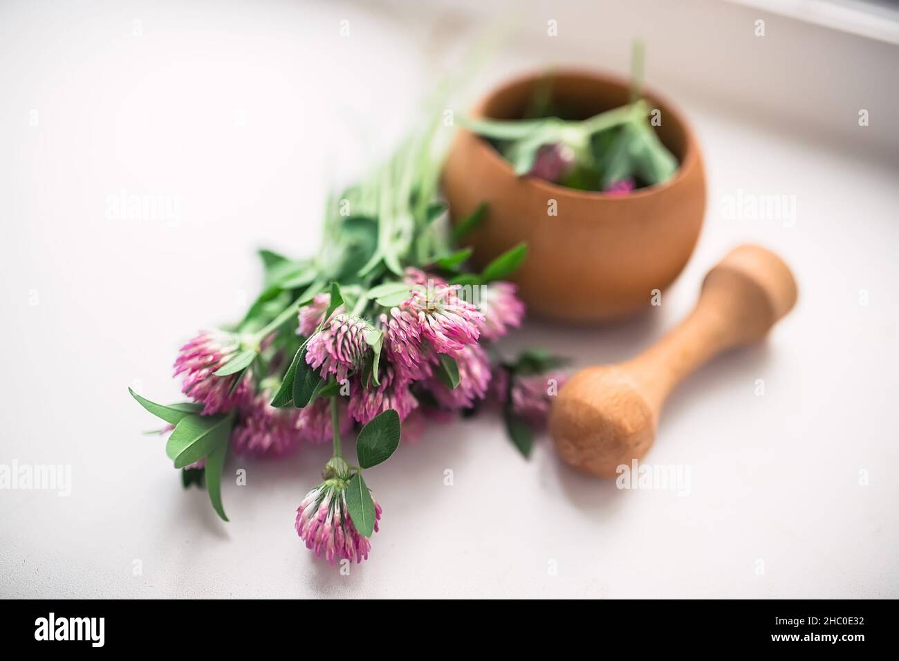 Authentic shamrock hi-res stock photography and images - Alamy