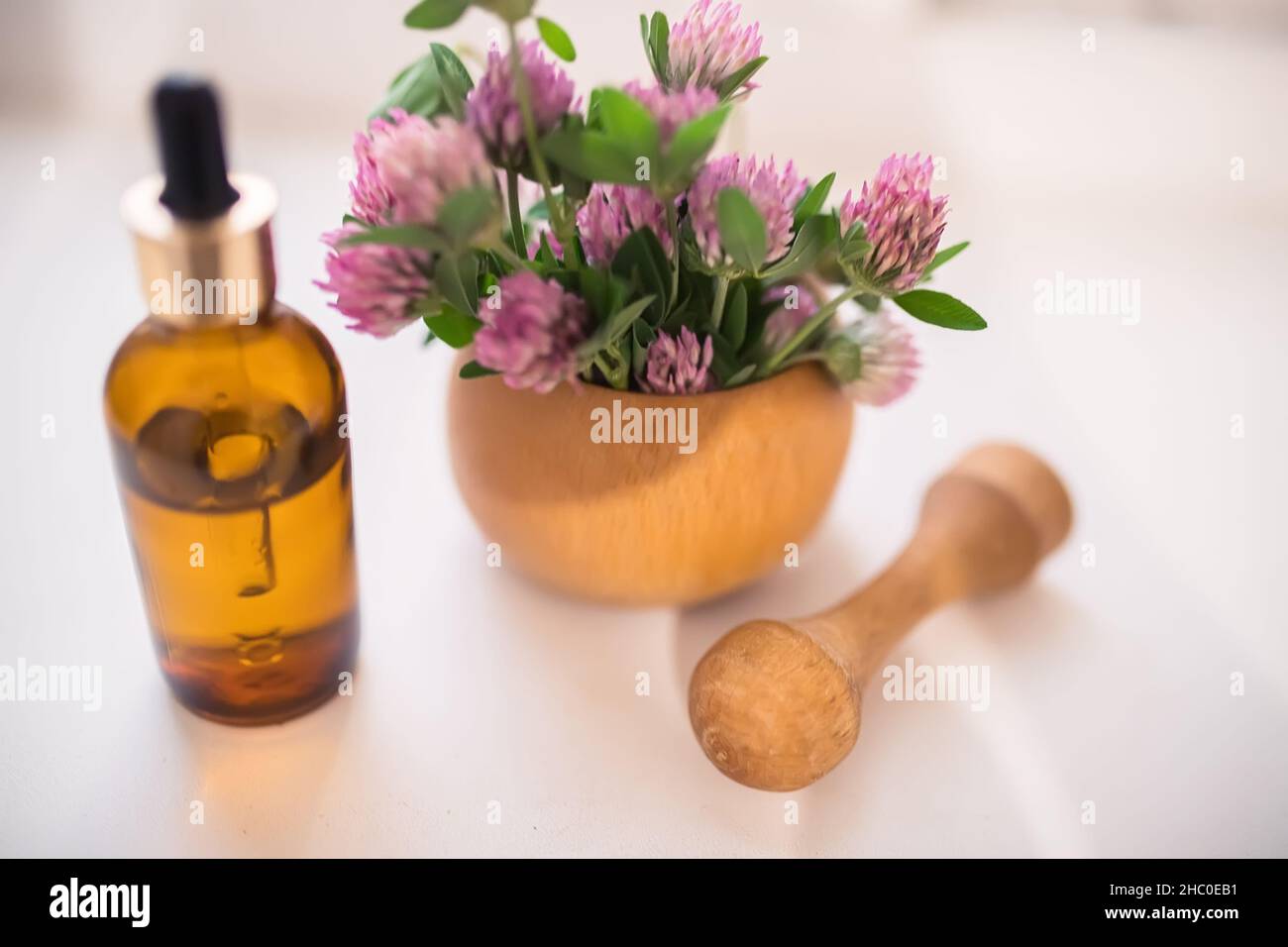 Clover or trefoil flower medicinal herbs. Red clover Flowers collected ...
