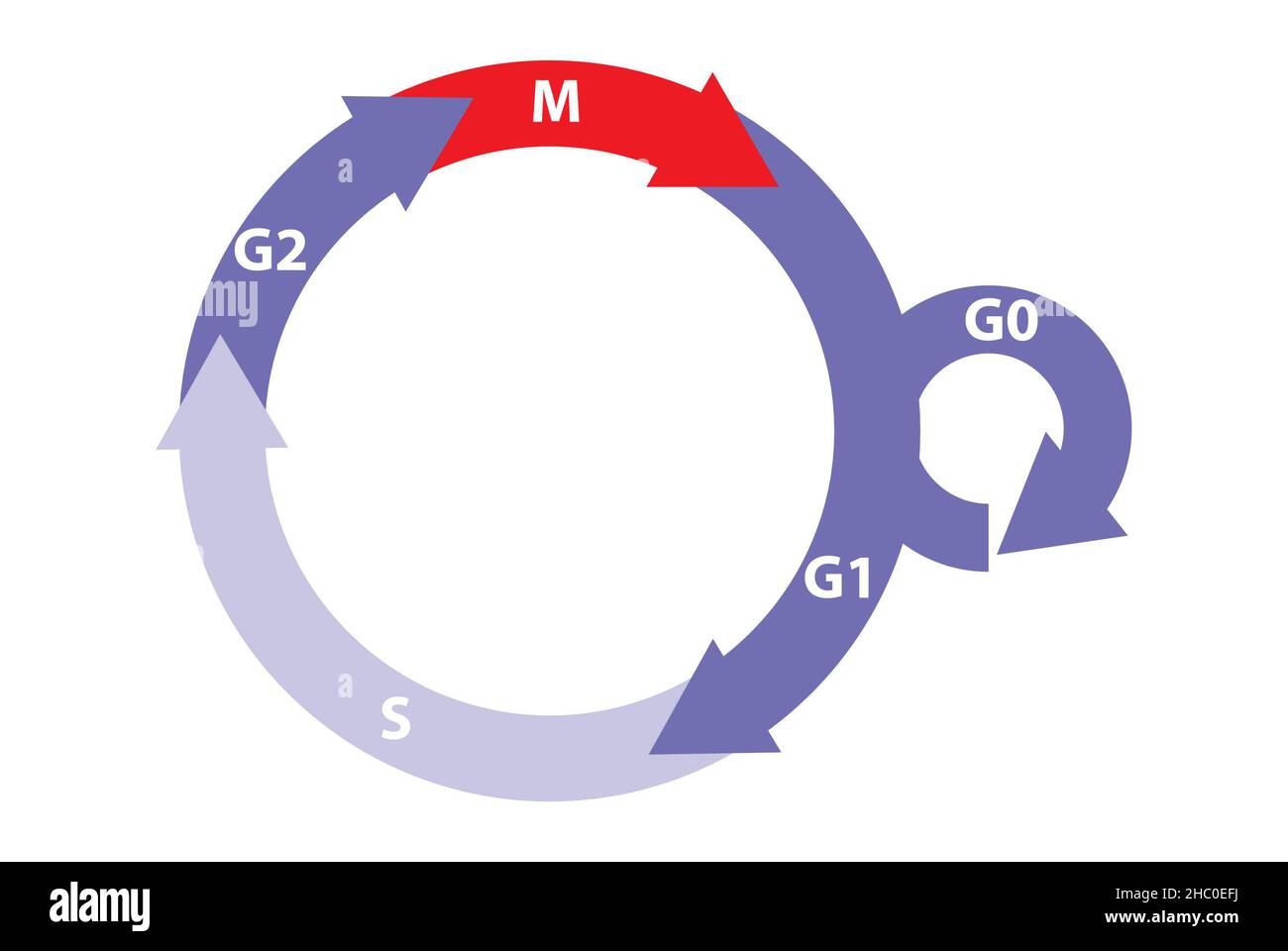 Life as normal Cut Out Stock Images & Pictures - Alamy
