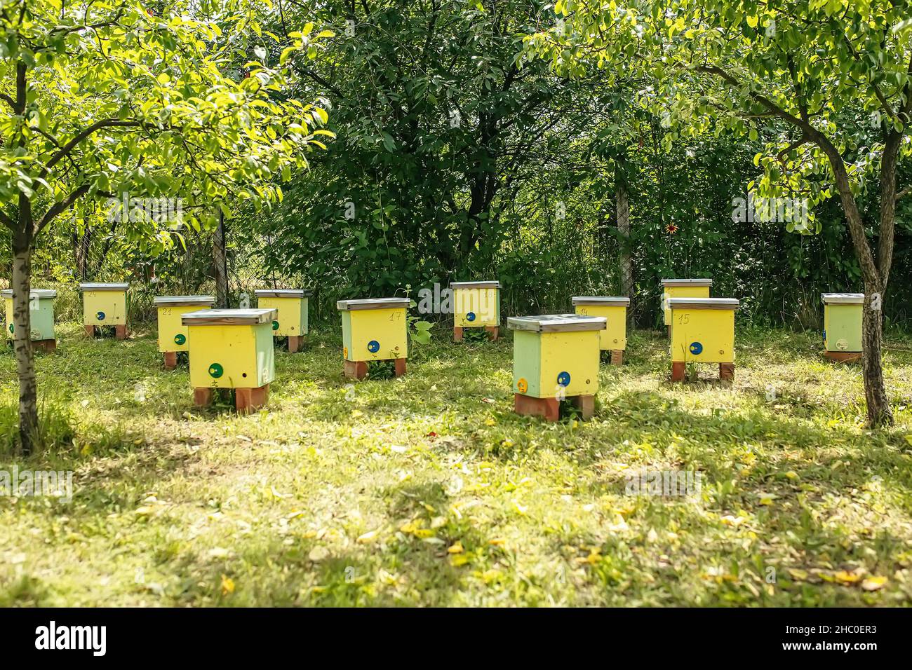 To hive a swarm, to make increase from a colony, make up a nucleus ...