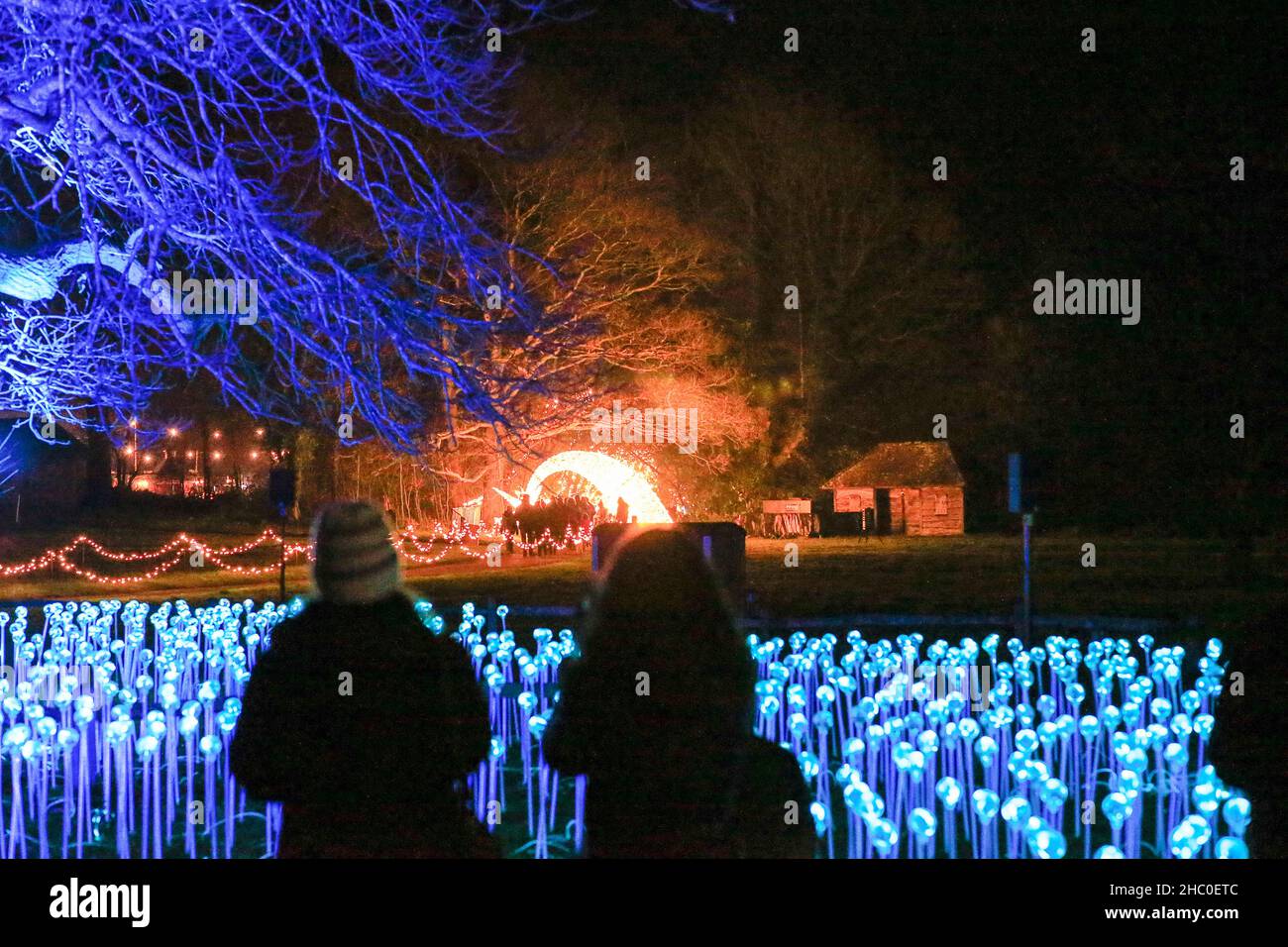 Cowdray Park, Midhurst. 22nd December 2021. An illuminated, after dark ...