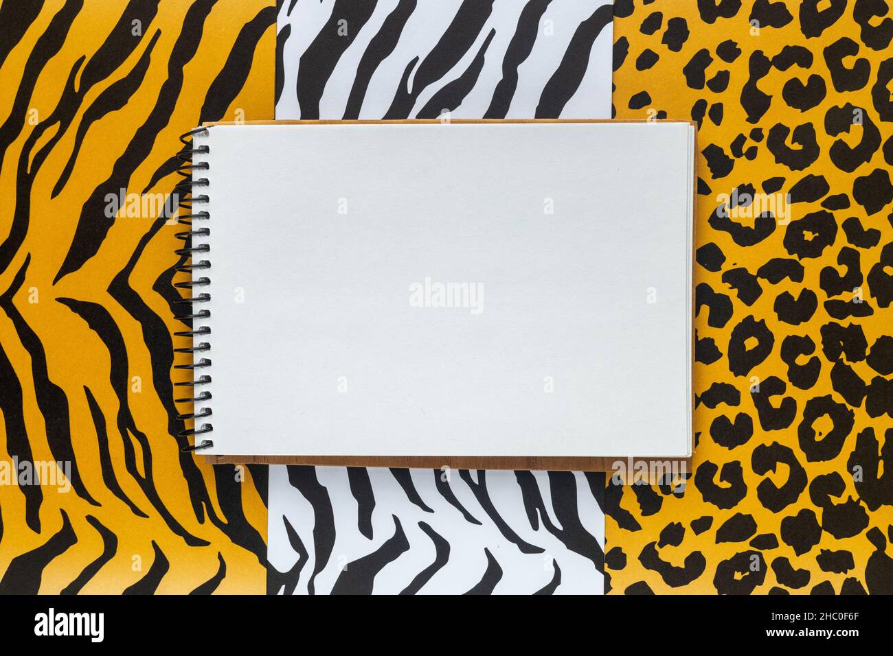 Colorful Zebra Layouts