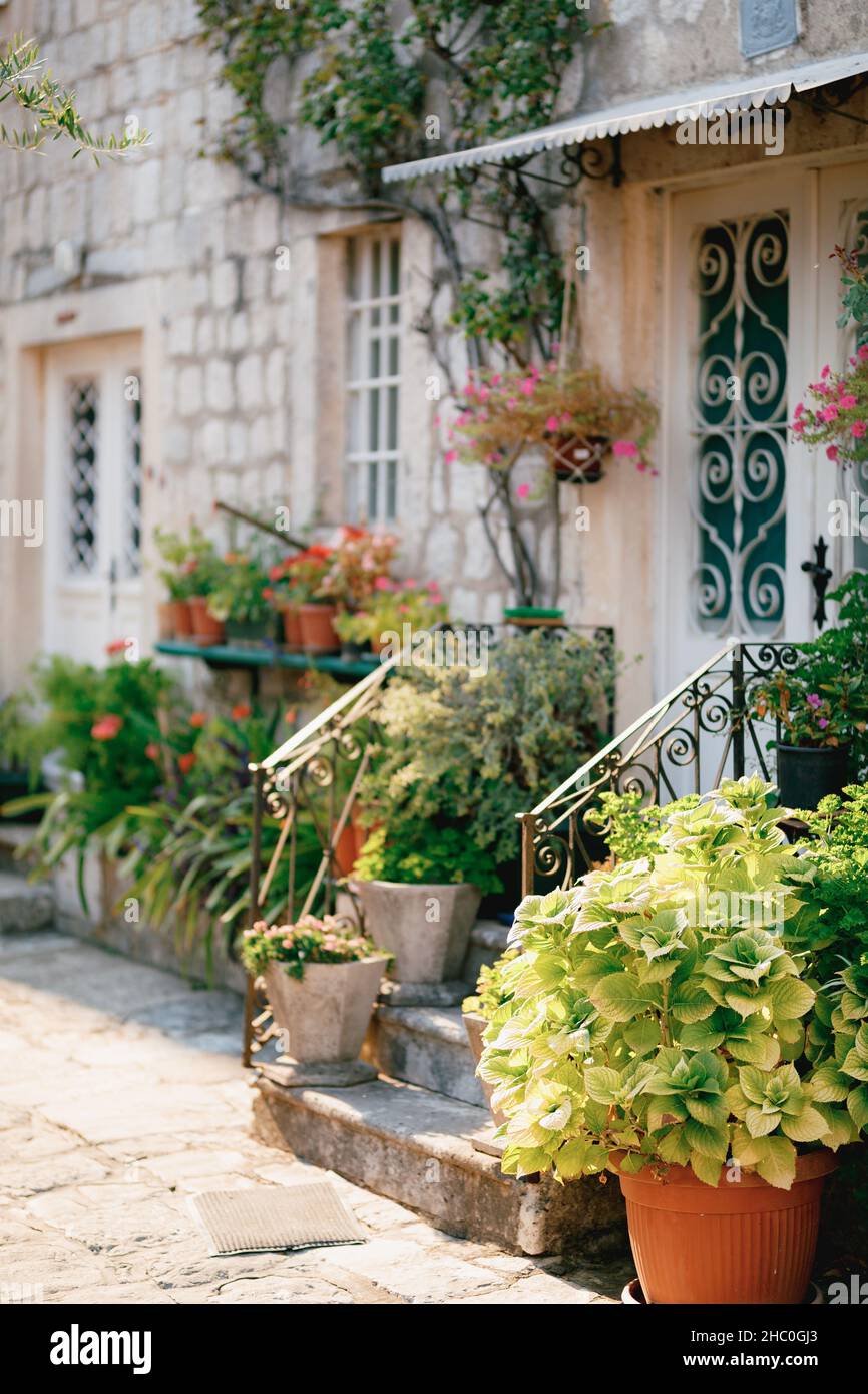 Threshold of an old stone house with flowers in pots Stock Photo - Alamy