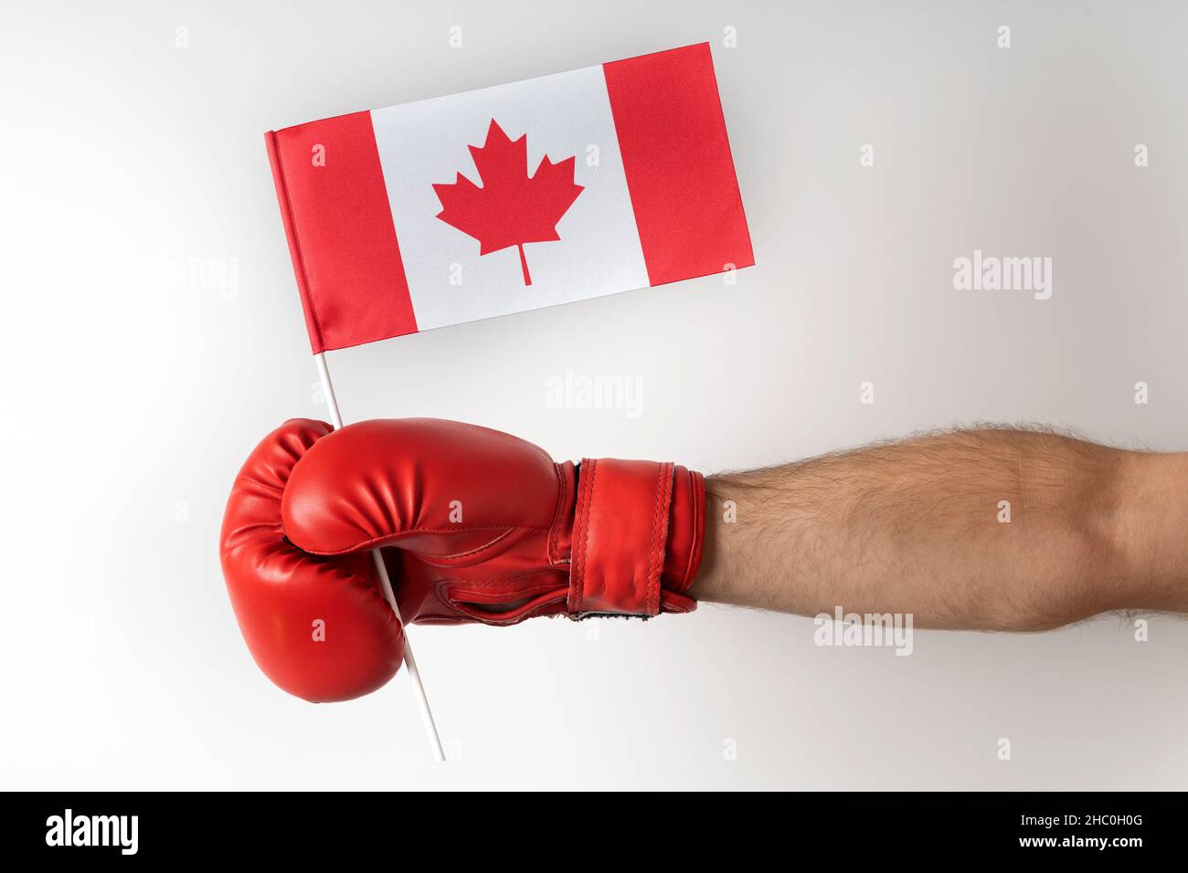 Boxing glove with Canada flag. Boxer holds flag of Canada. White ...