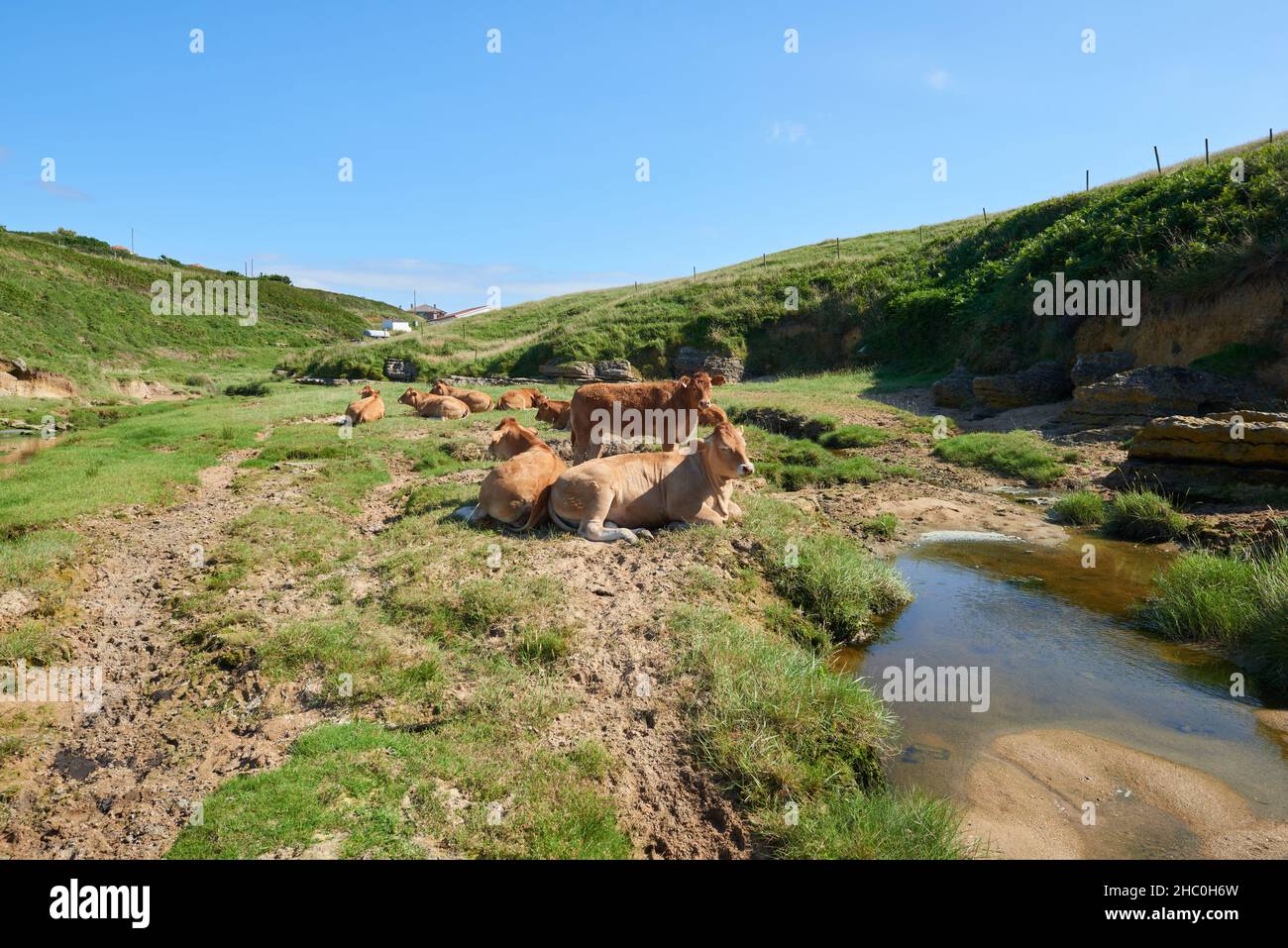 Eating quietly hi-res stock photography and images - Alamy