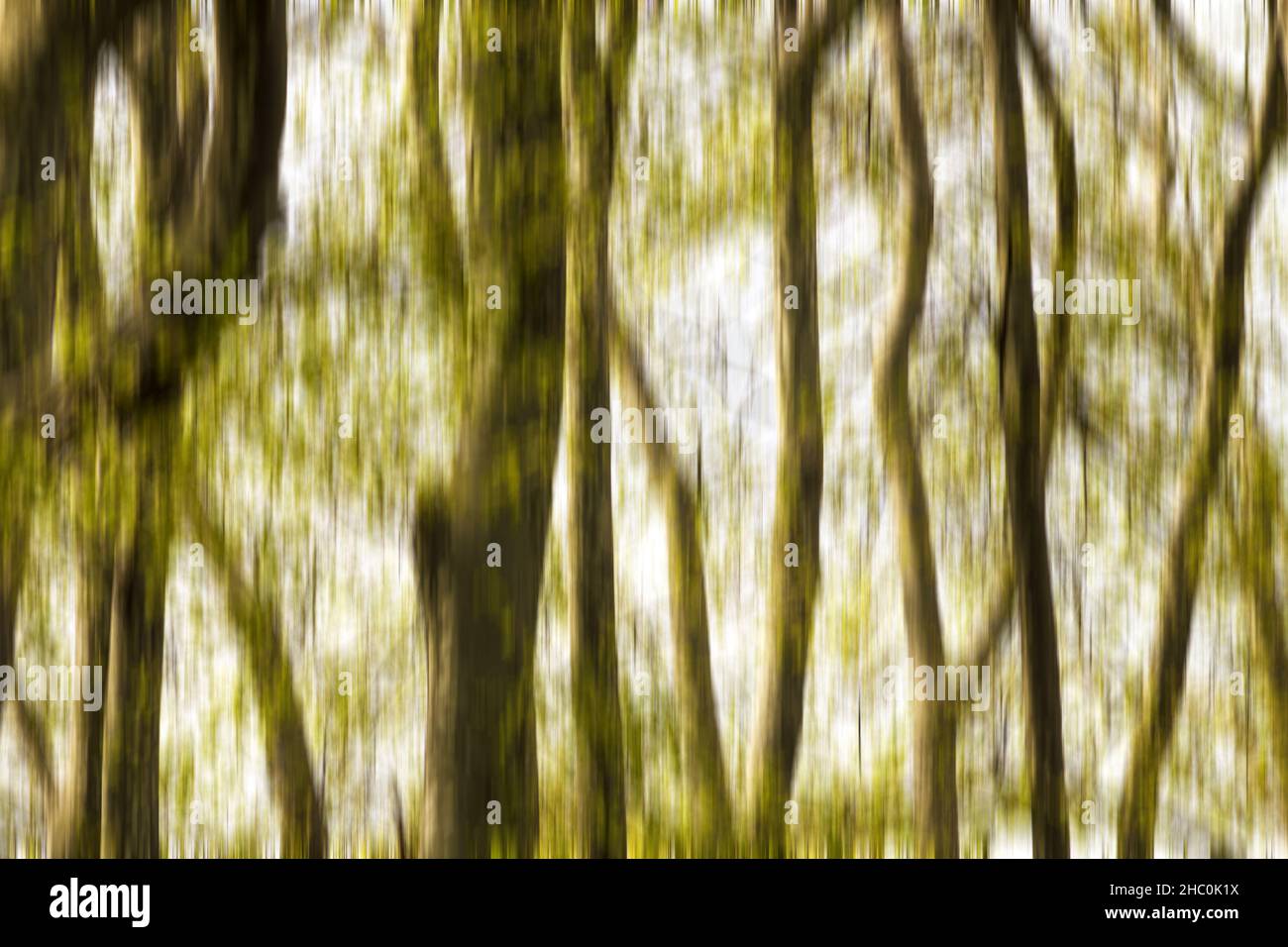 Blurred vision hi-res stock photography and images - Alamy