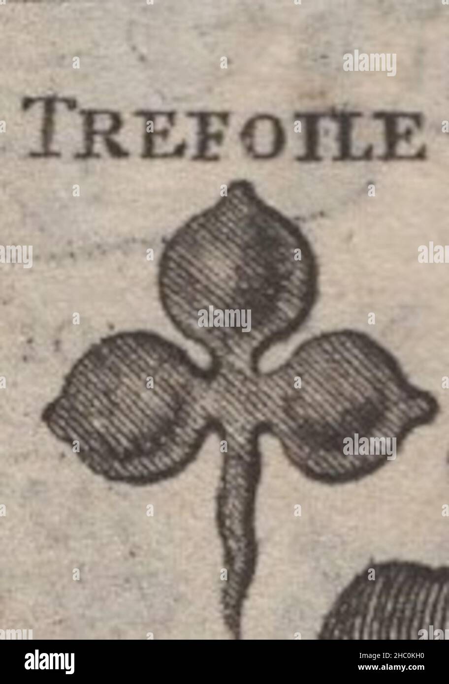 antique 18th century engraving heraldy coat of arms, English Heraldic ...
