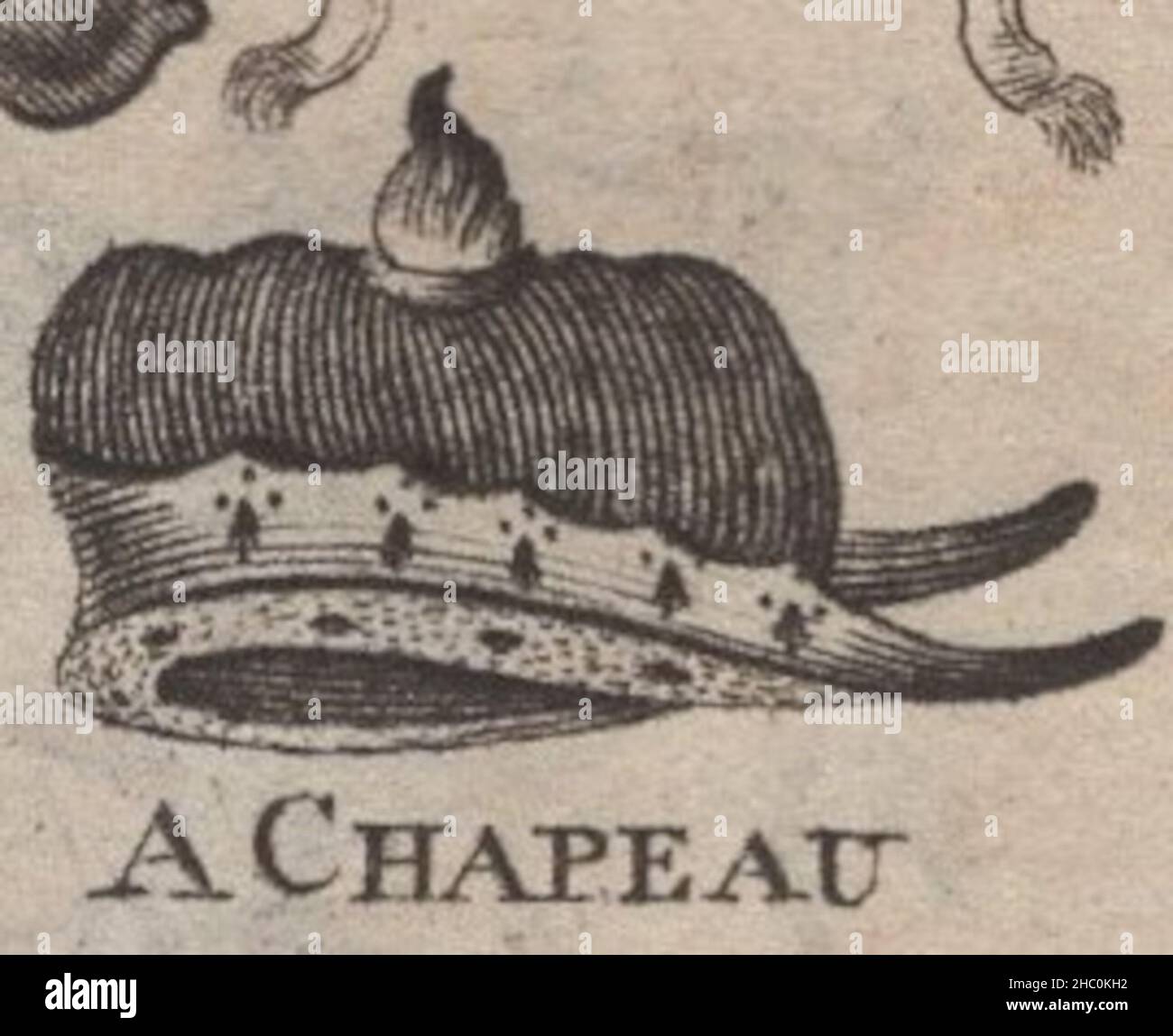 antique 18th century engraving heraldy coat of arms, English Heraldic ...