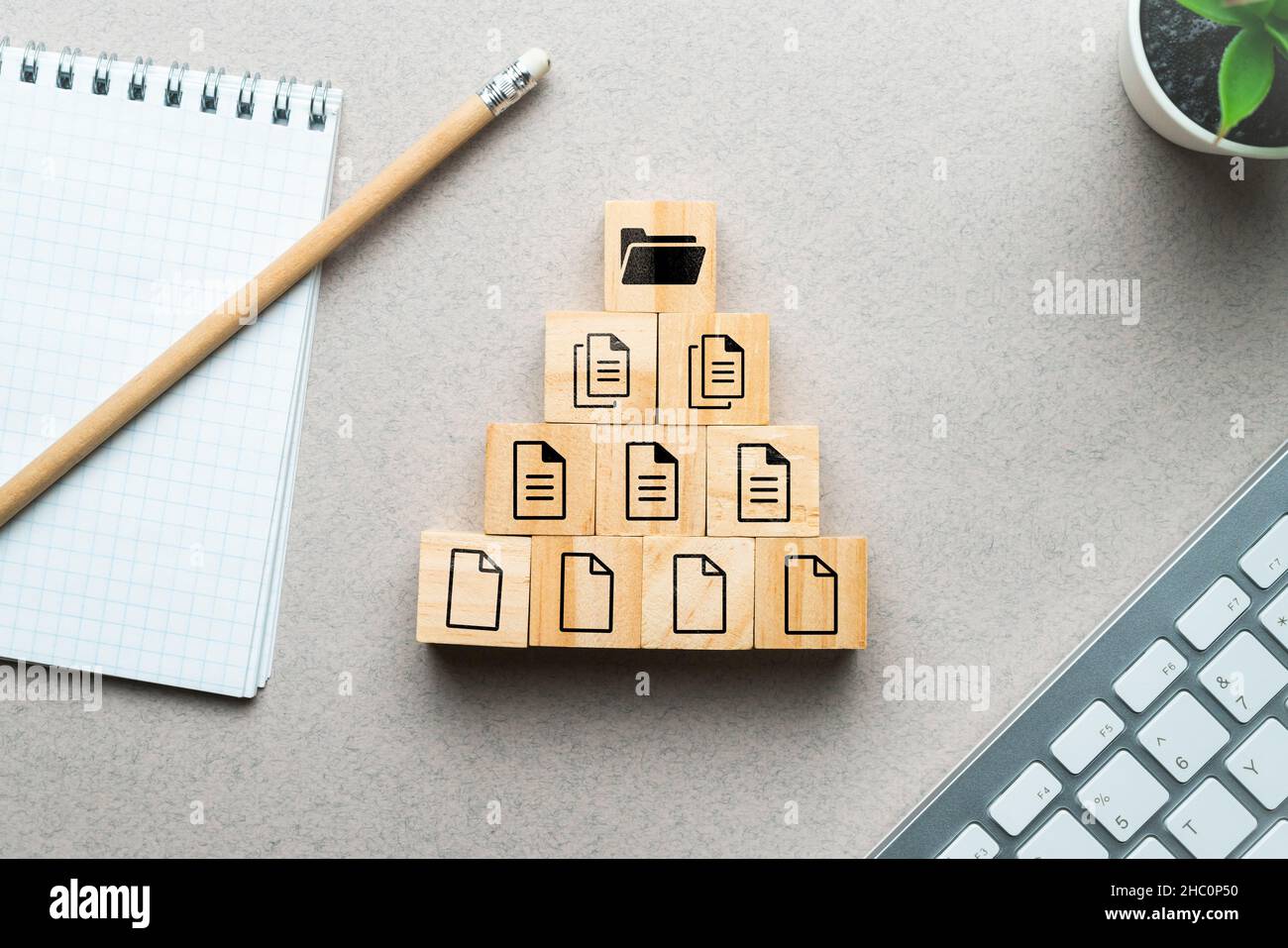 Concept document management system or DMS. Cataloging and structural ...