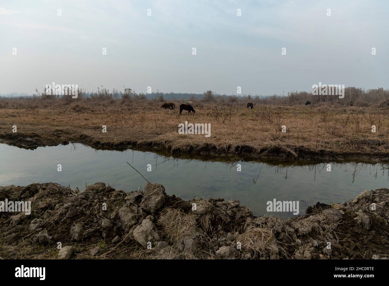 Land filling hi-res stock photography and images - Alamy