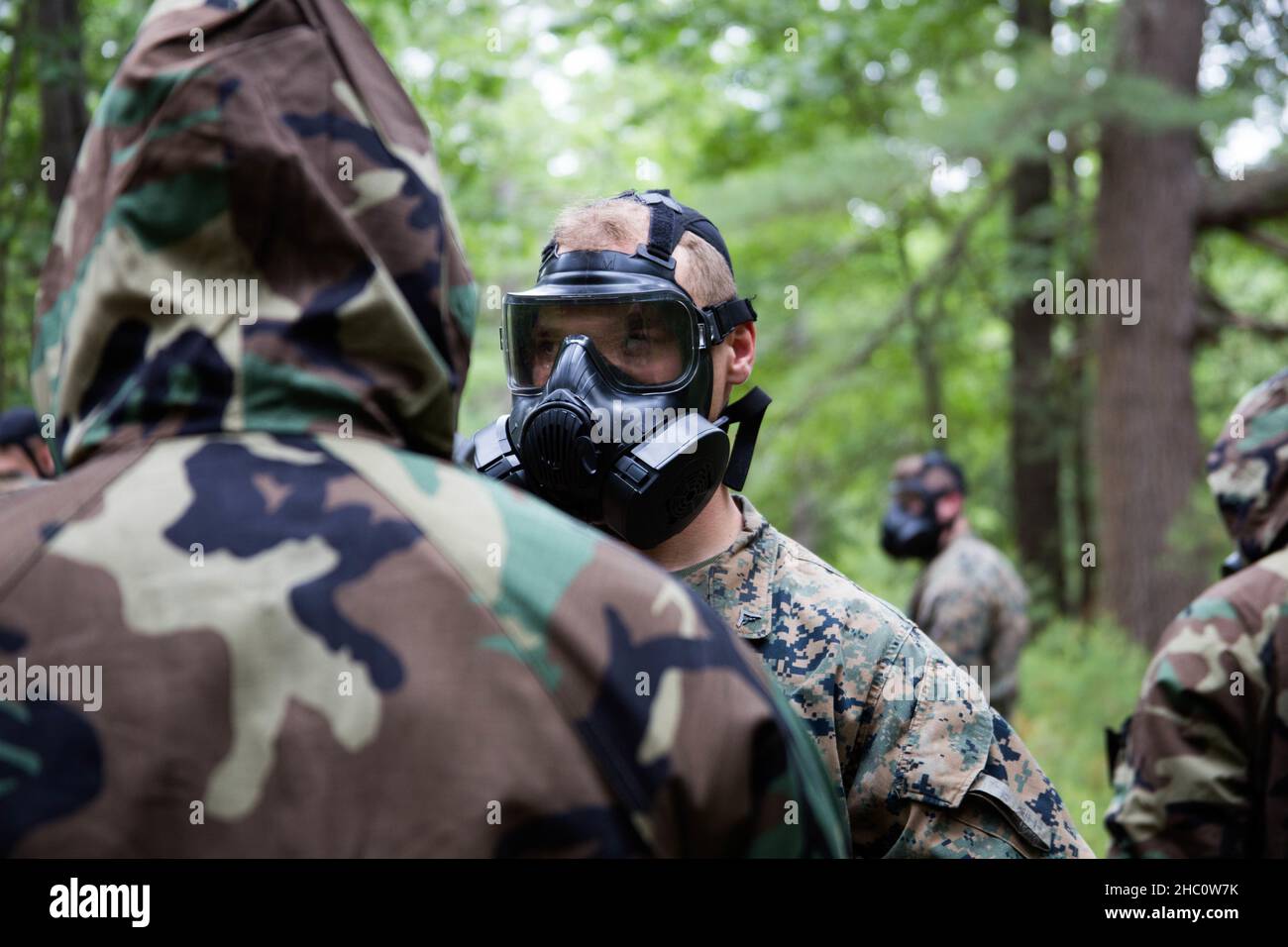 Members of 1st Battalion, 25th Marines help each other decontaminate ...