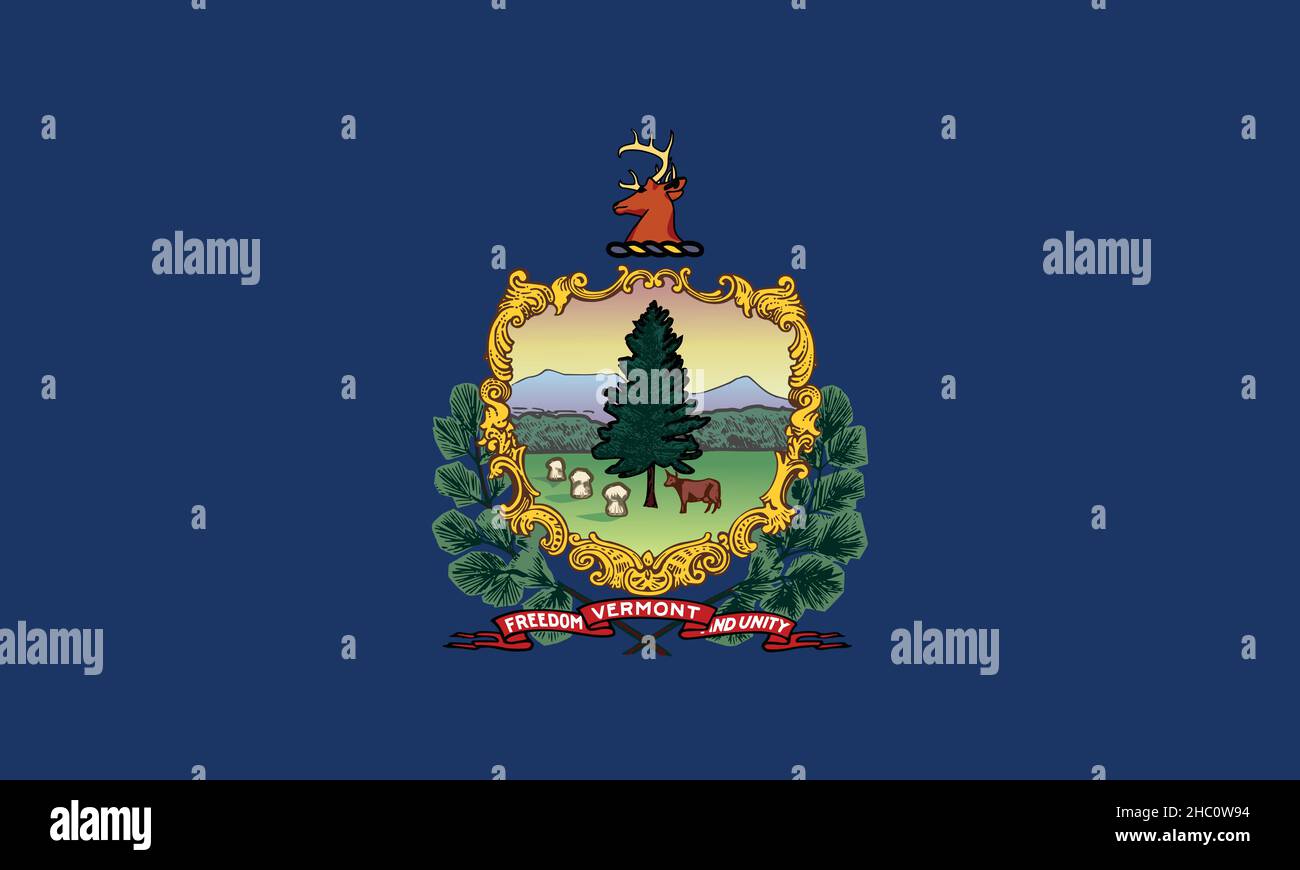 Official current vector flag of the Federal State of Vermont, USA Stock ...