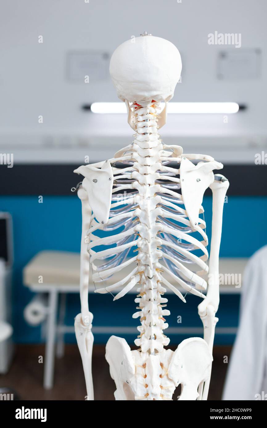 Human body skeleton standing in empty hospital office with nobody in it ...