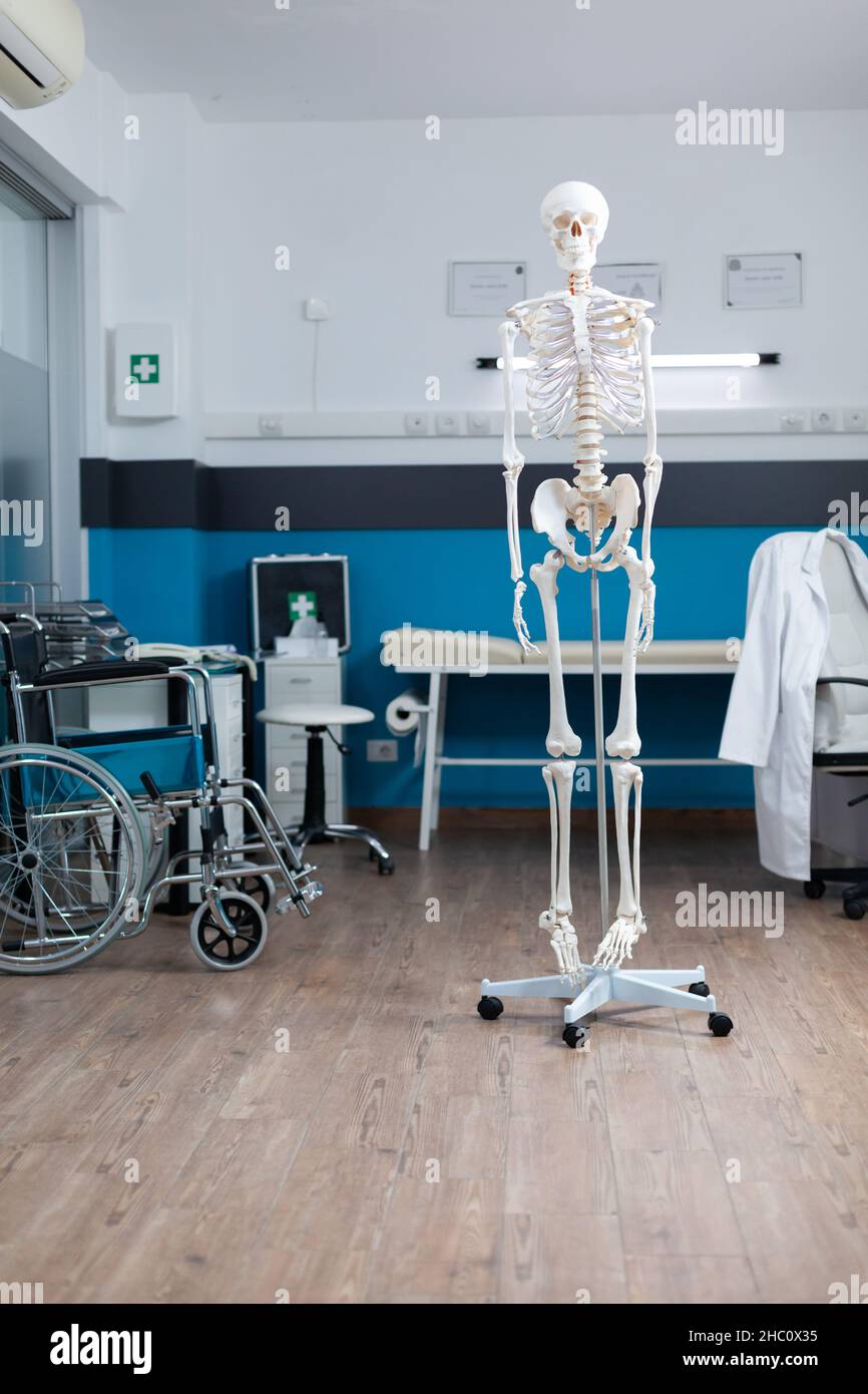 Front view of human body skeleton standing in empty doctor office used ...