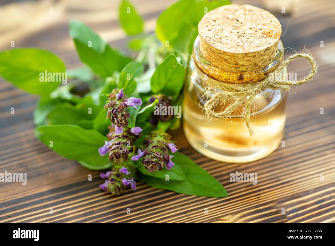 Prunella vulgaris, self-heal, carpenter's herb purple flower tincture ...