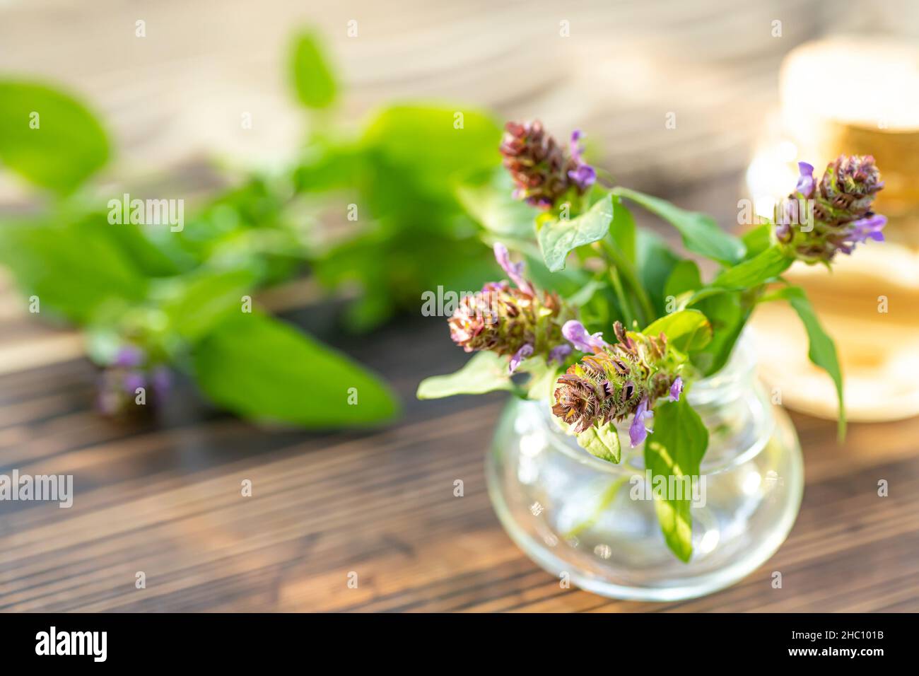 Prunella vulgaris tea hi-res stock photography and images - Alamy