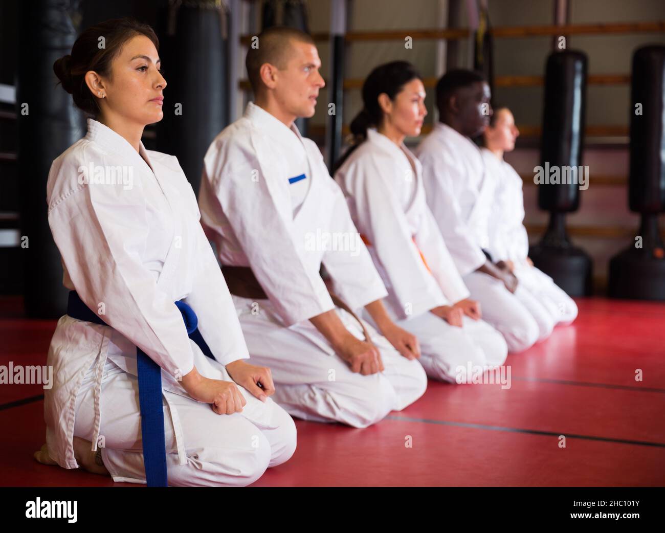 Group of people in kimono sit on a tatami before preparing for sparring ...