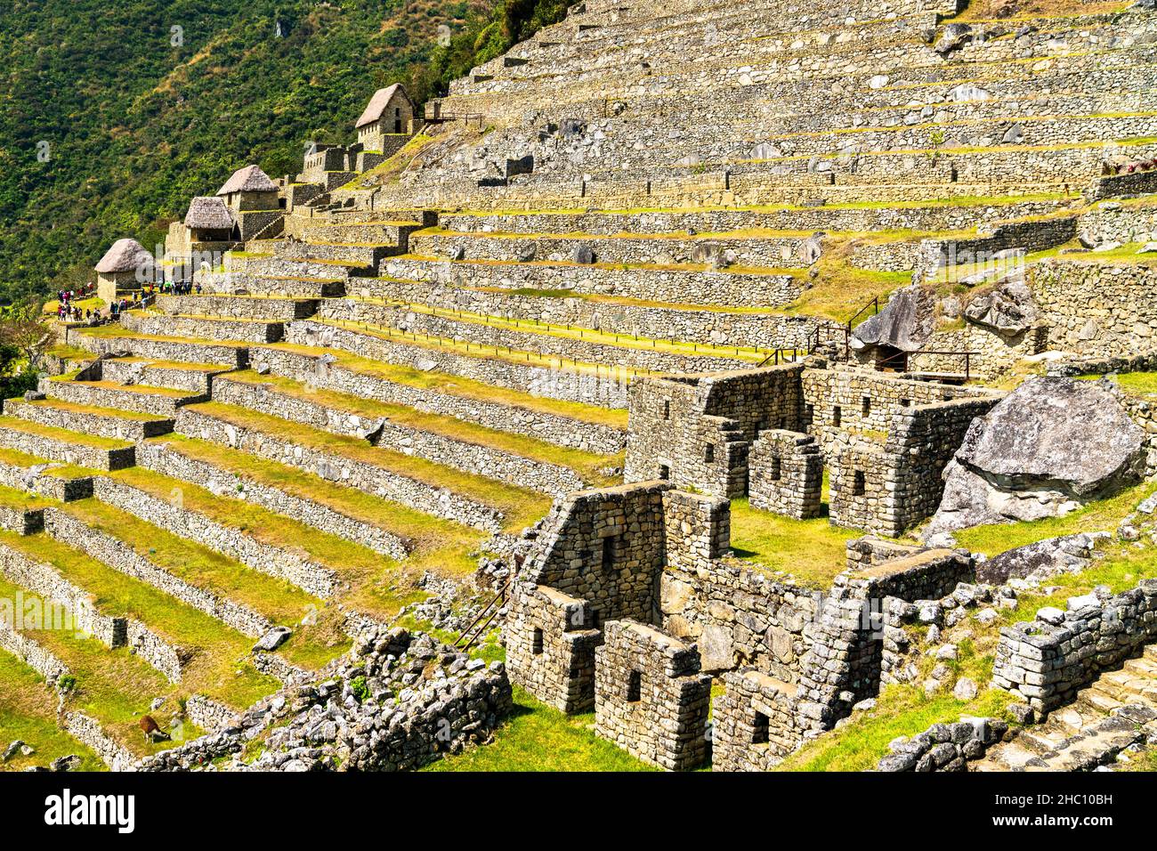 Machu Picchu Inca ruins in Peru, South America Stock Photo - Alamy