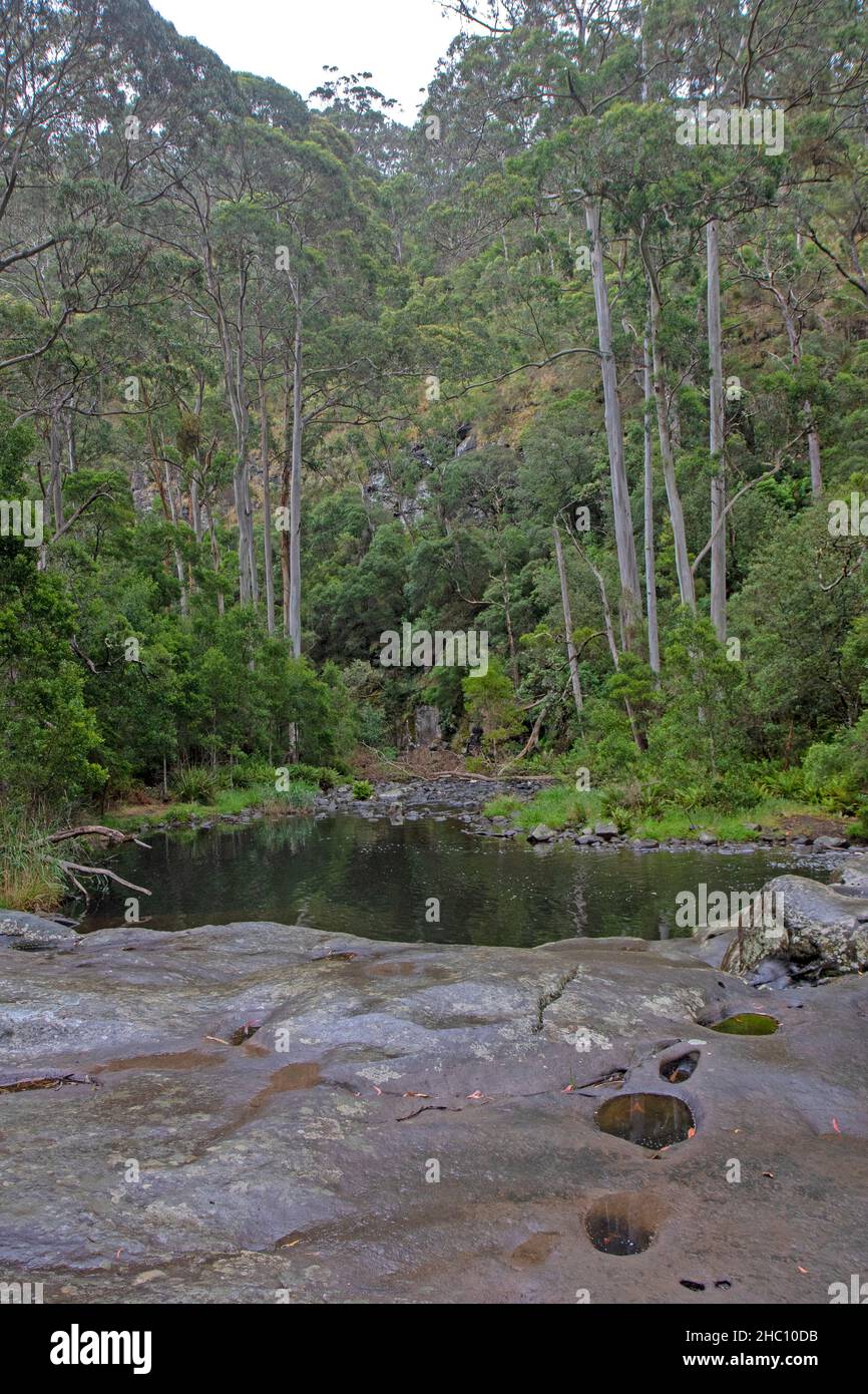 Jebbs Pool in the Cumberland River Stock Photo - Alamy