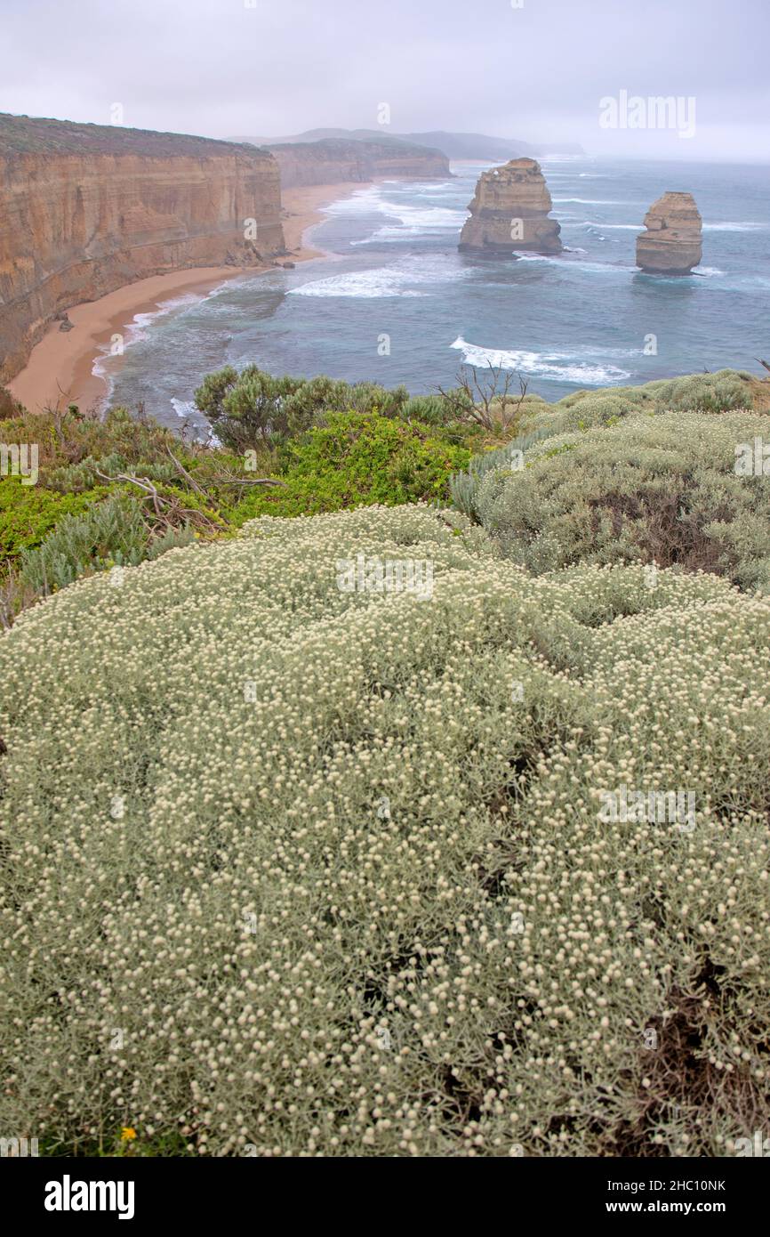 View along Gibsons Steps beach at the Twelve Apostles Stock Photo - Alamy