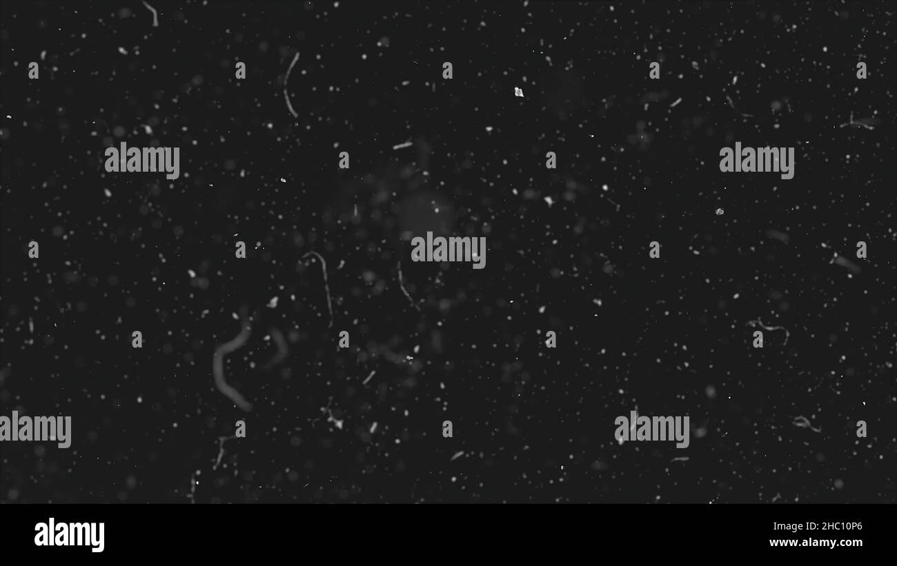 White dust particles moving slowly in space on black background ...