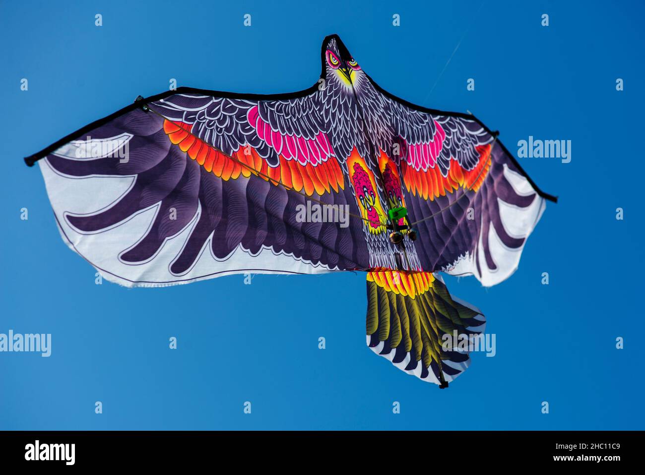 Only one colorful bird kite flying in blue sky Stock Photo - Alamy