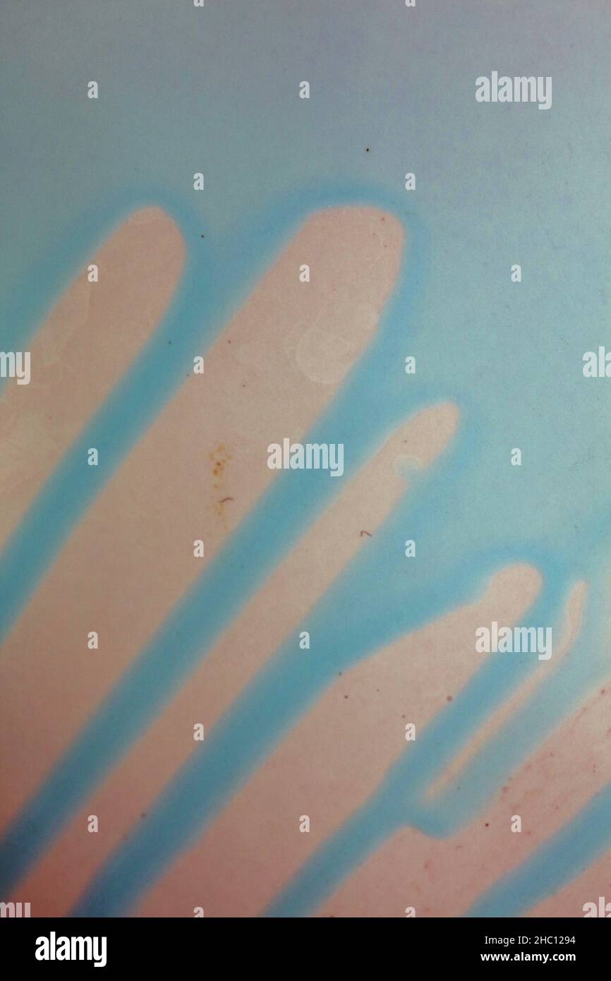 Washing toilet blue liquid clean close up background high quality big ...