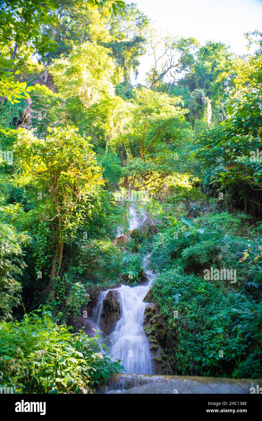 Beautiful waterfall in deep tropical forest with green tree leaf Stock ...
