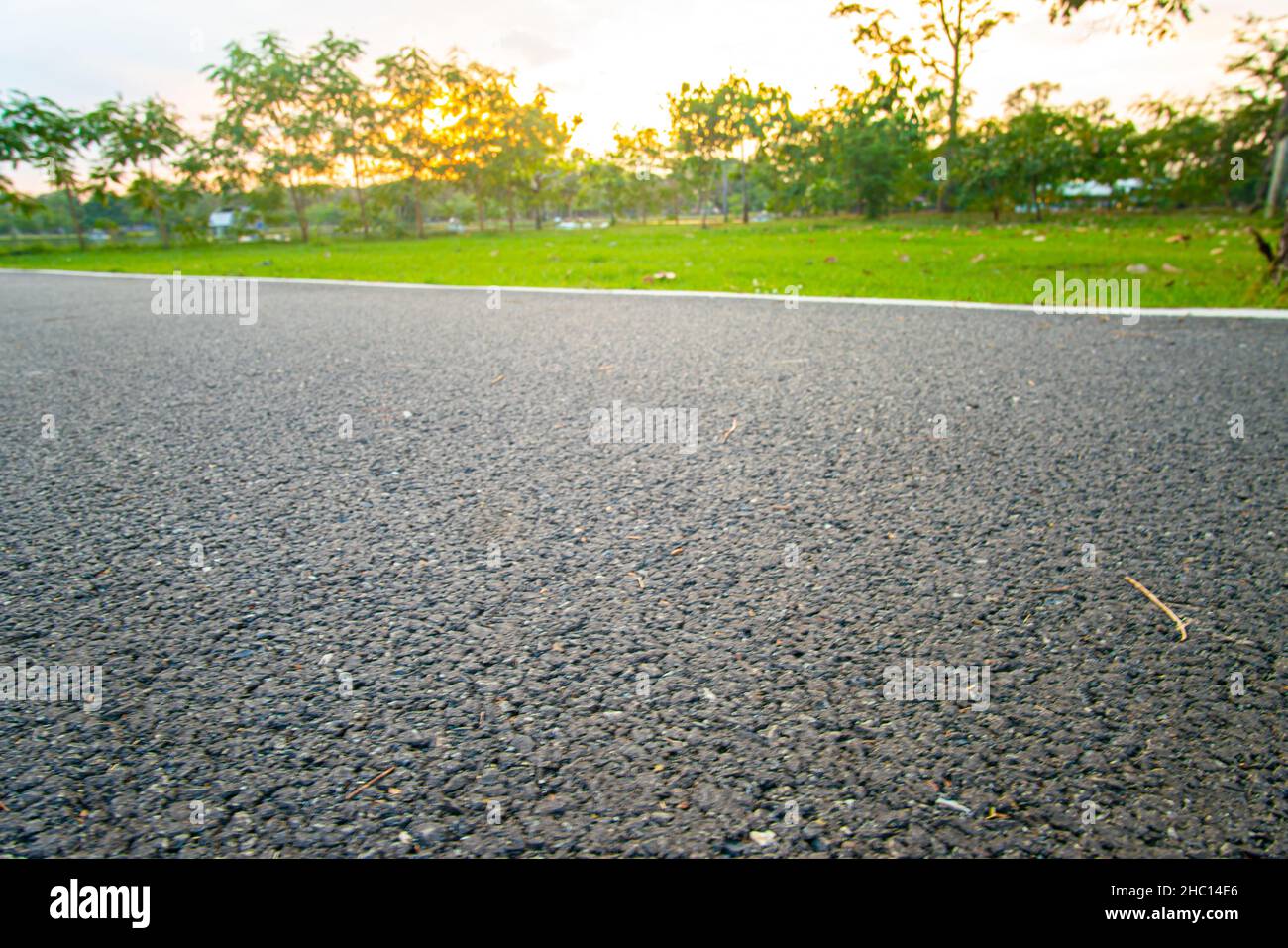 Asphalt walk and run pathway in city public park evening sunset nature ...