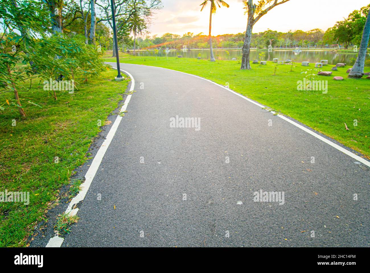 Asphalt walk and run pathway in city public park evening sunset nature ...