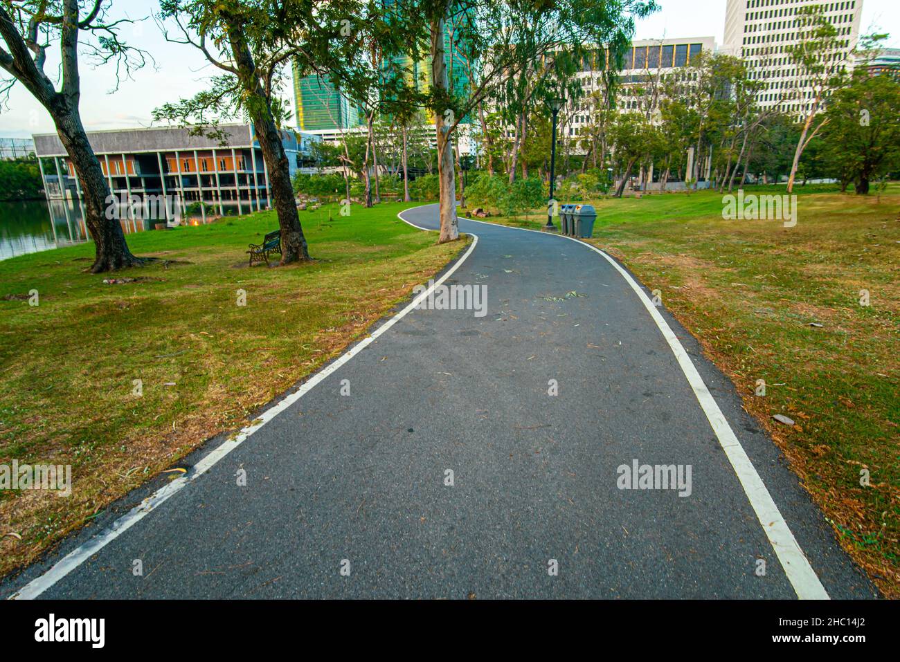 Asphalt walk and run pathway in city public park evening sunset nature ...