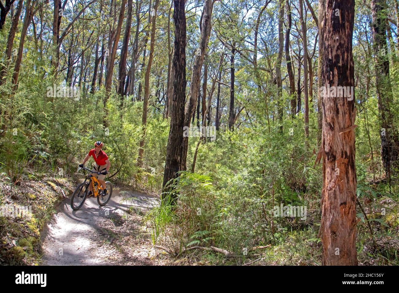Otway ranges victoria hi-res stock photography and images - Alamy
