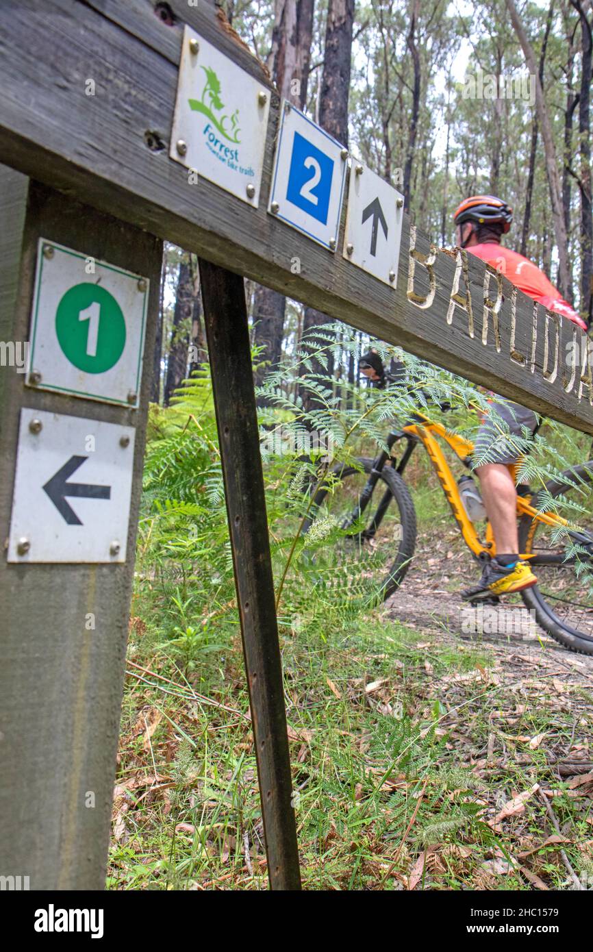 Trail signs on Forrest's mountain bike trail network Stock Photo - Alamy