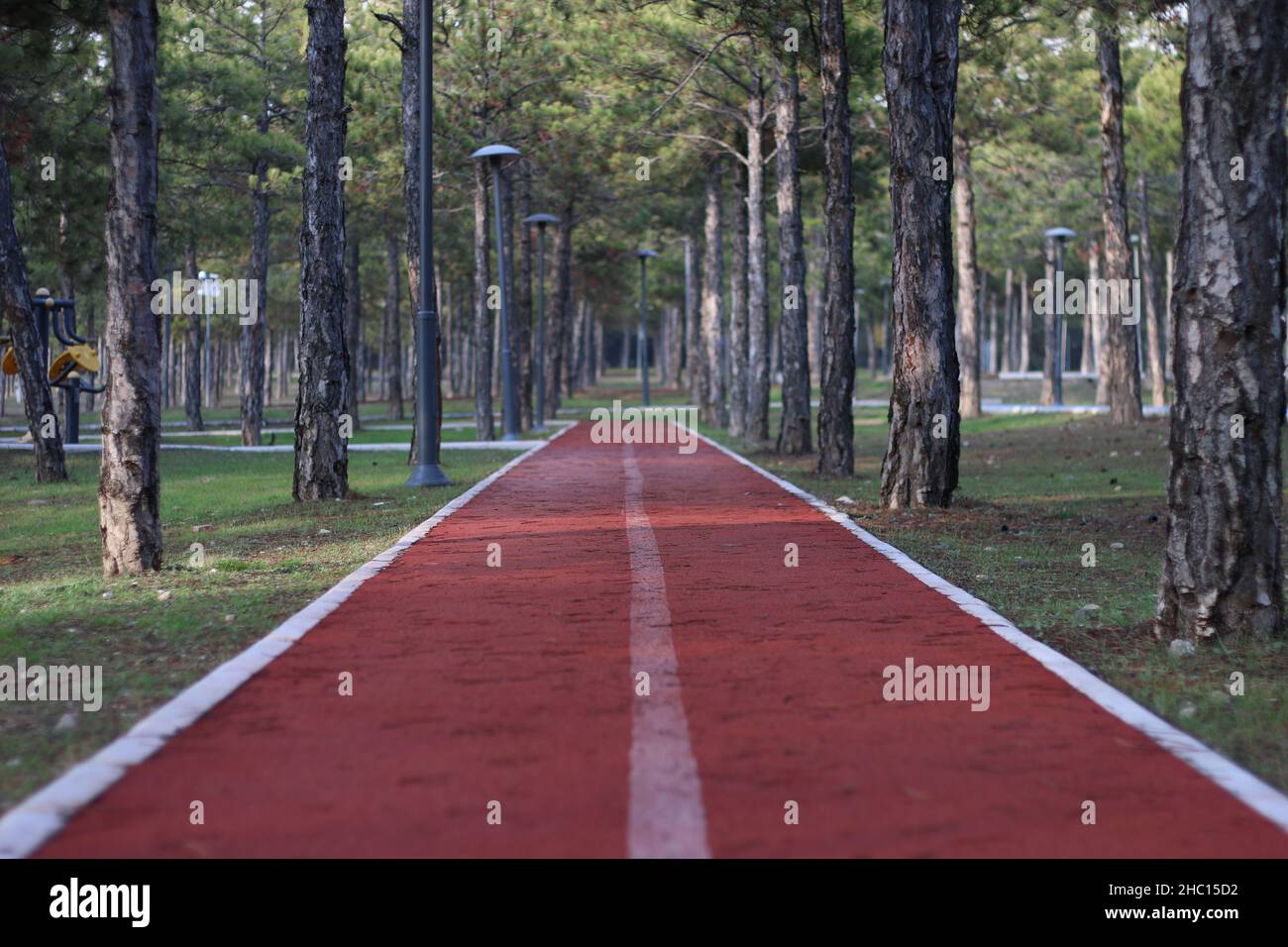 Running track, running track in the forest. Red treadmill in the nature ...