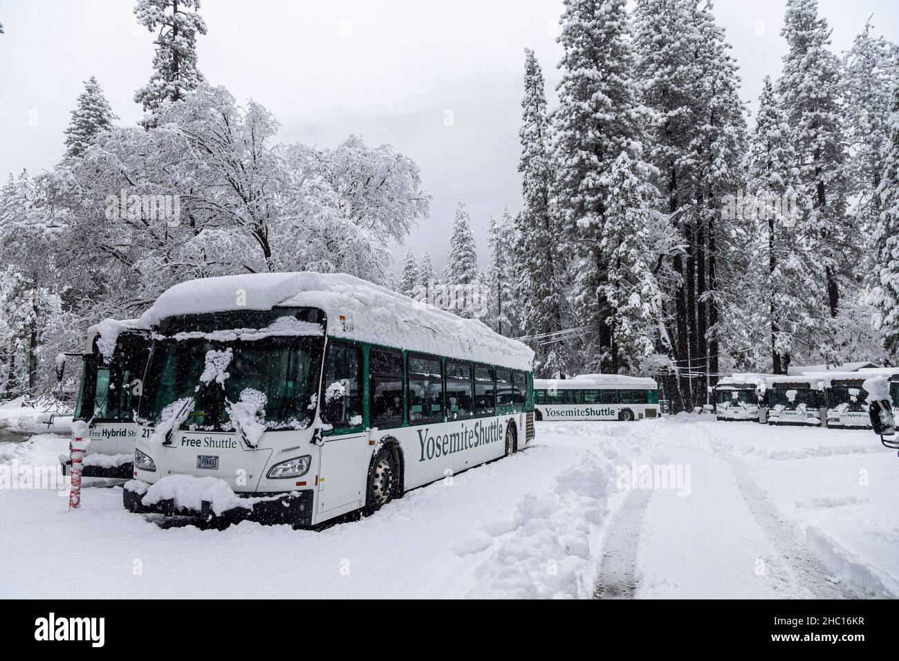 Shuttle bus in yosemite national hi-res stock photography and images ...