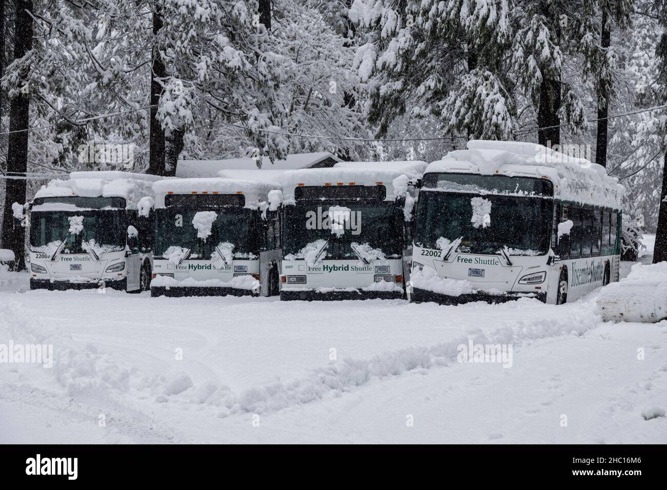 Shuttle bus in yosemite national hi-res stock photography and images ...