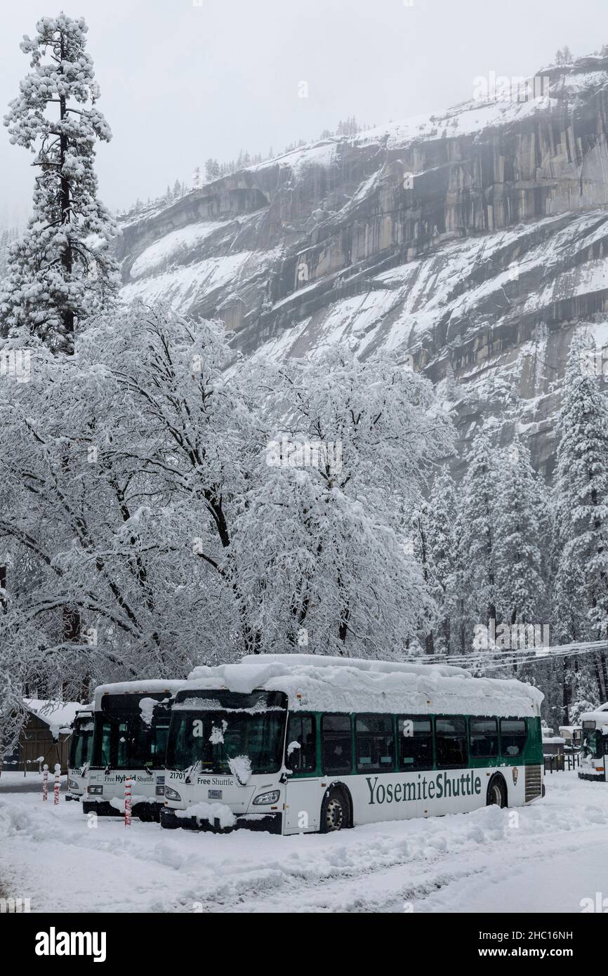 Yosemite california shuttle bus hi-res stock photography and images - Alamy