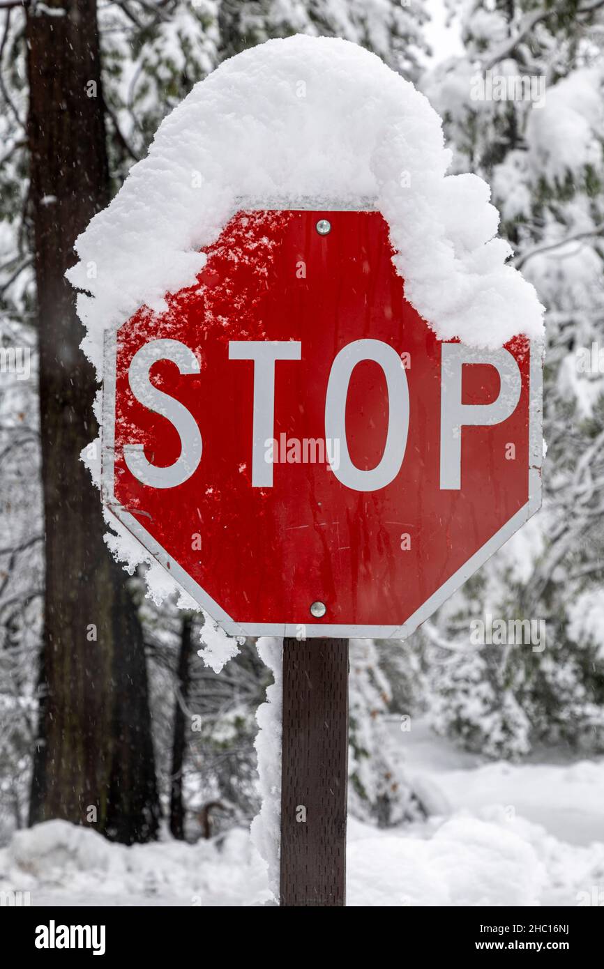 Stop sign after a snow storm in Yosemite National Park Stock Photo - Alamy