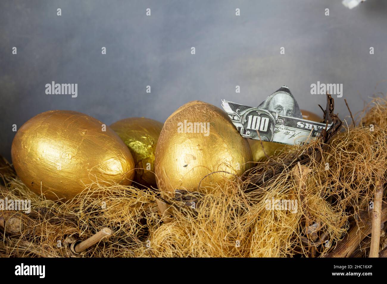 Golden Egg and Dollar, Money concept Stock Photo - Alamy