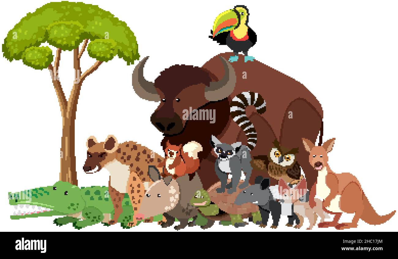 Cartoon wild animals in flat style illustration Stock Vector Image ...