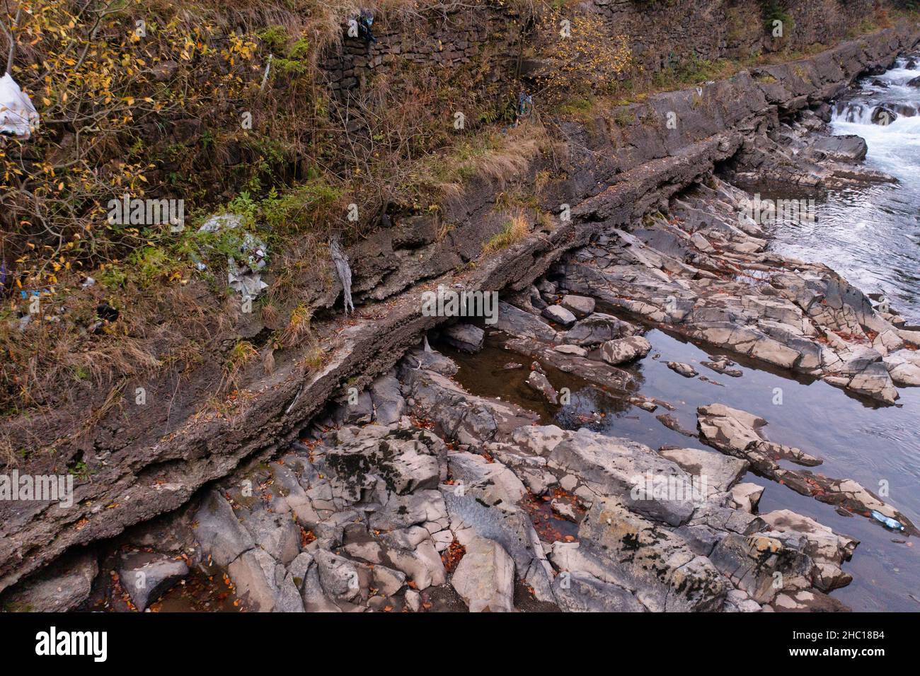 Shallow mountain river with rocky bottom and coniferous terracotta ...
