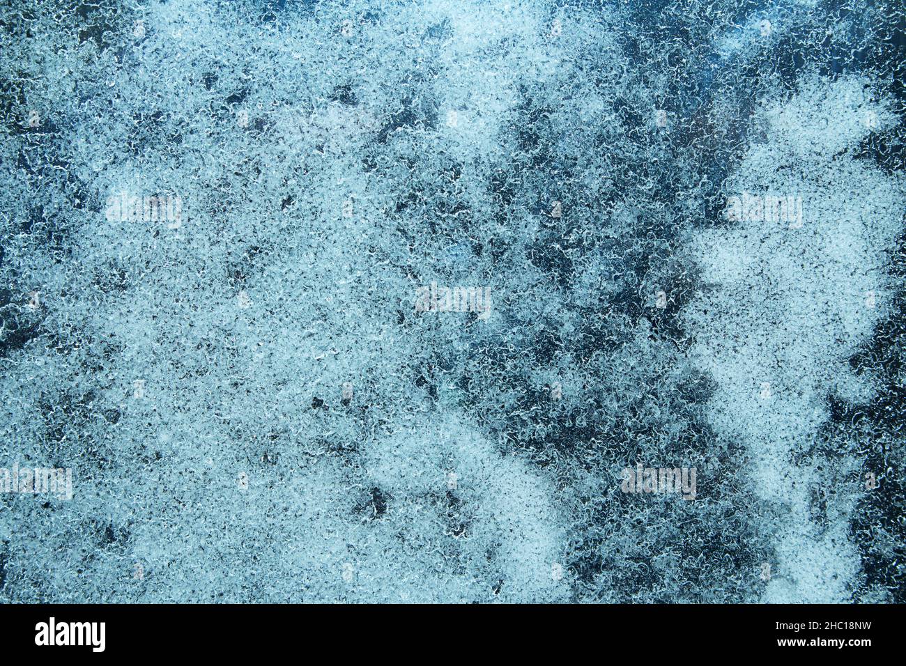 Blue frozen water, icy window, frost, texture. Winter. Background. Copy ...