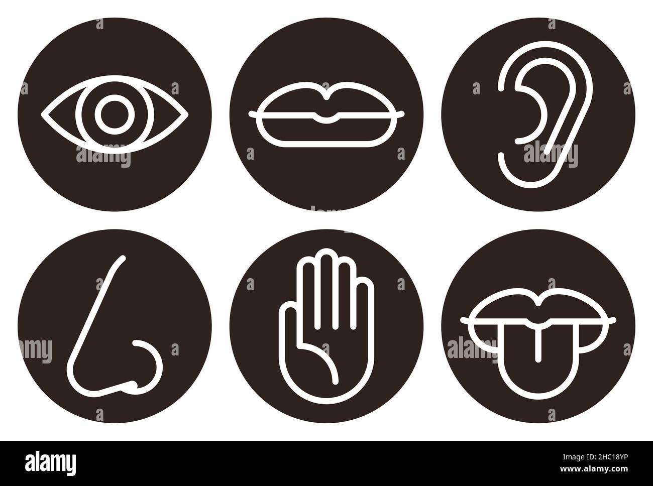 Sensory organs icon set isolated on white background Stock Photo - Alamy