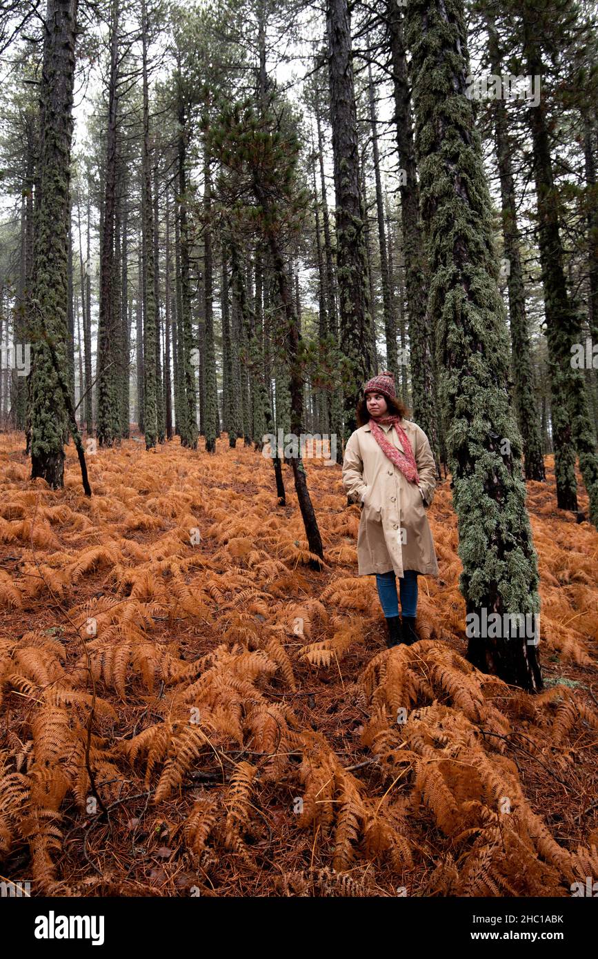 Young woman in worm clothing standing in the forest in winter Stock ...