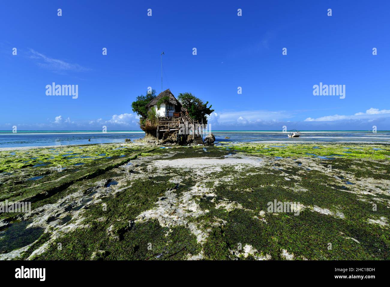 Pingwe Beach in Zanzibar Stock Photo - Alamy